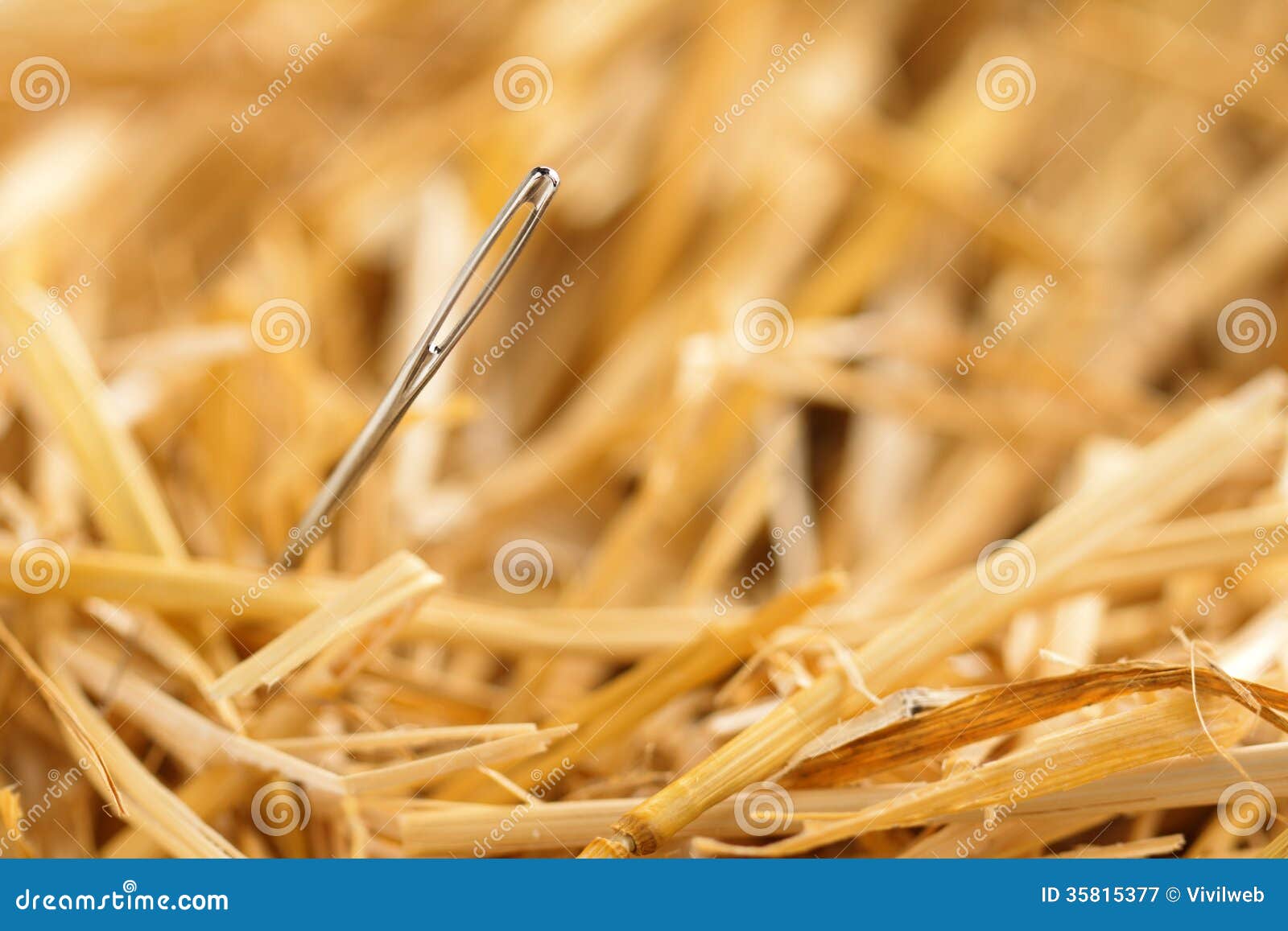 Aguja en un pajar imagen de archivo. Imagen de concepto - 35815377