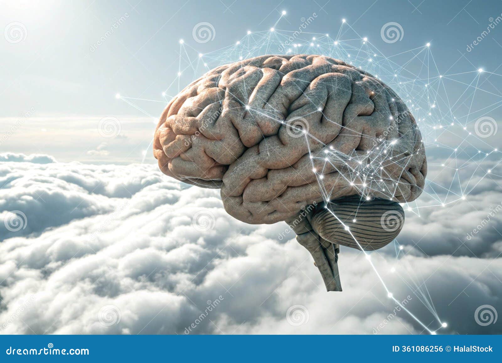 Neurological AI Data: Electronic Brain Concept In Cyberspace Stock ...