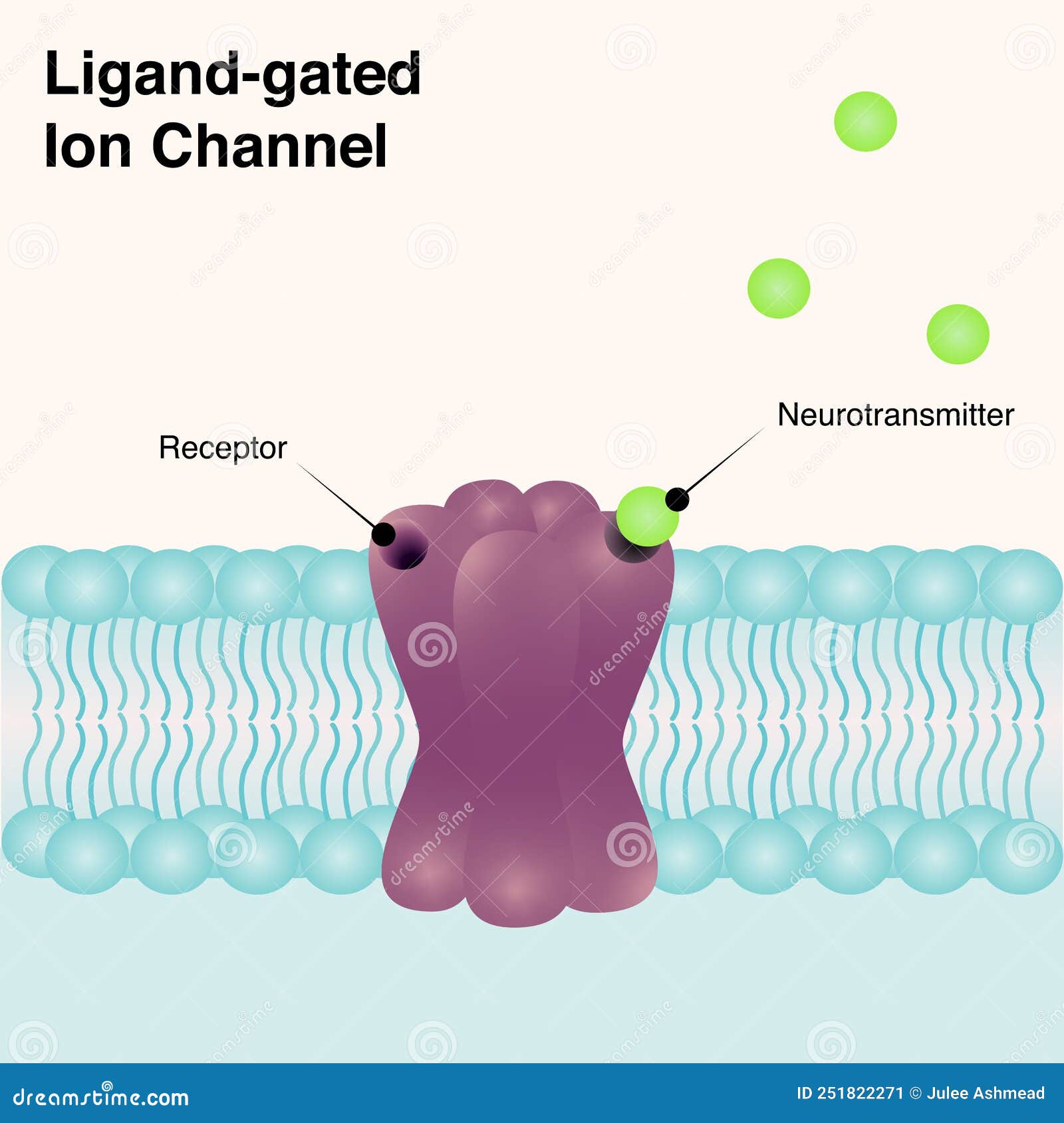 Transmembrane Cartoons, Illustrations & Vector Stock Images - 371 ...