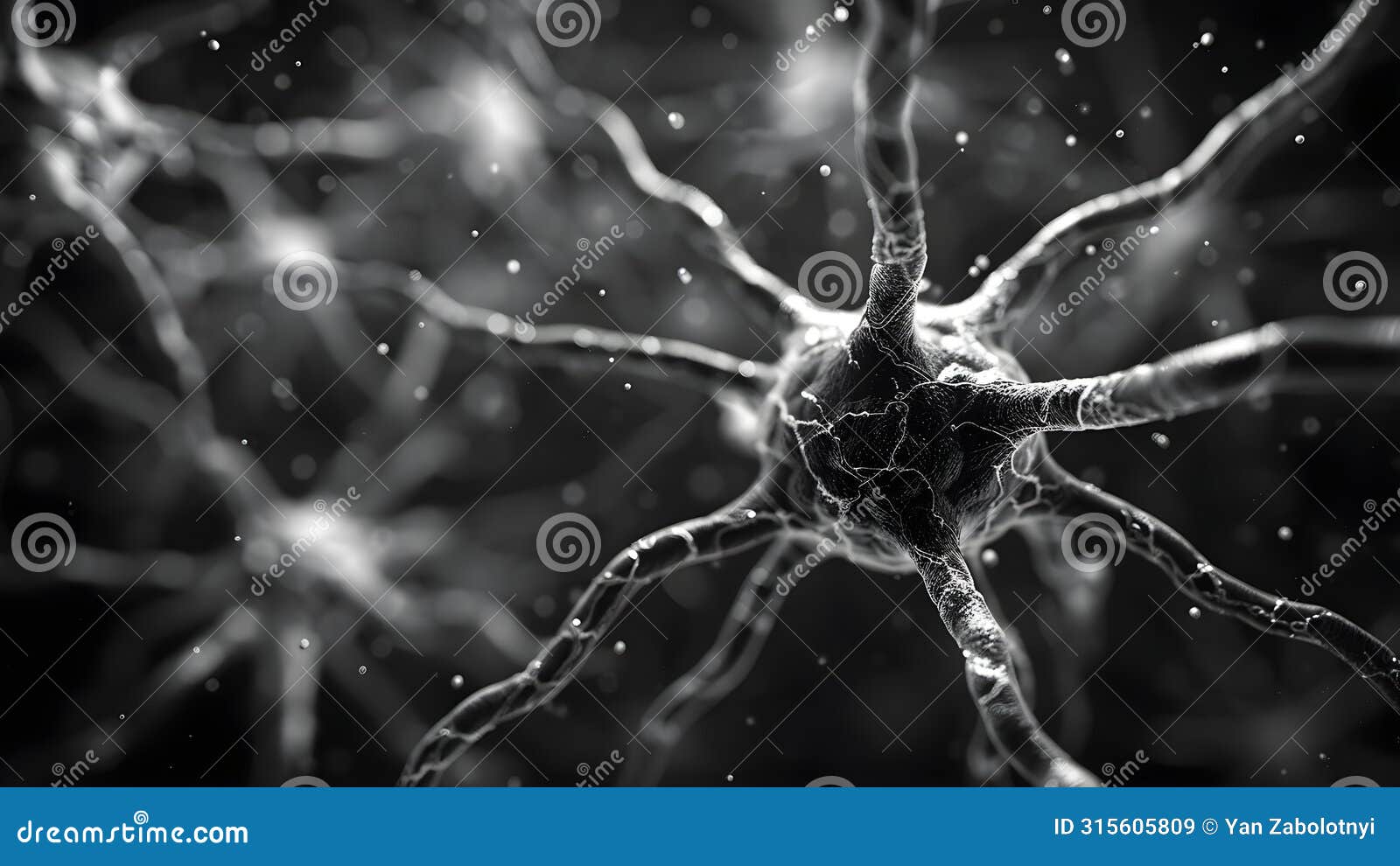 AI Framework Simulates Nerve Tissue Connections between Neurons in ...