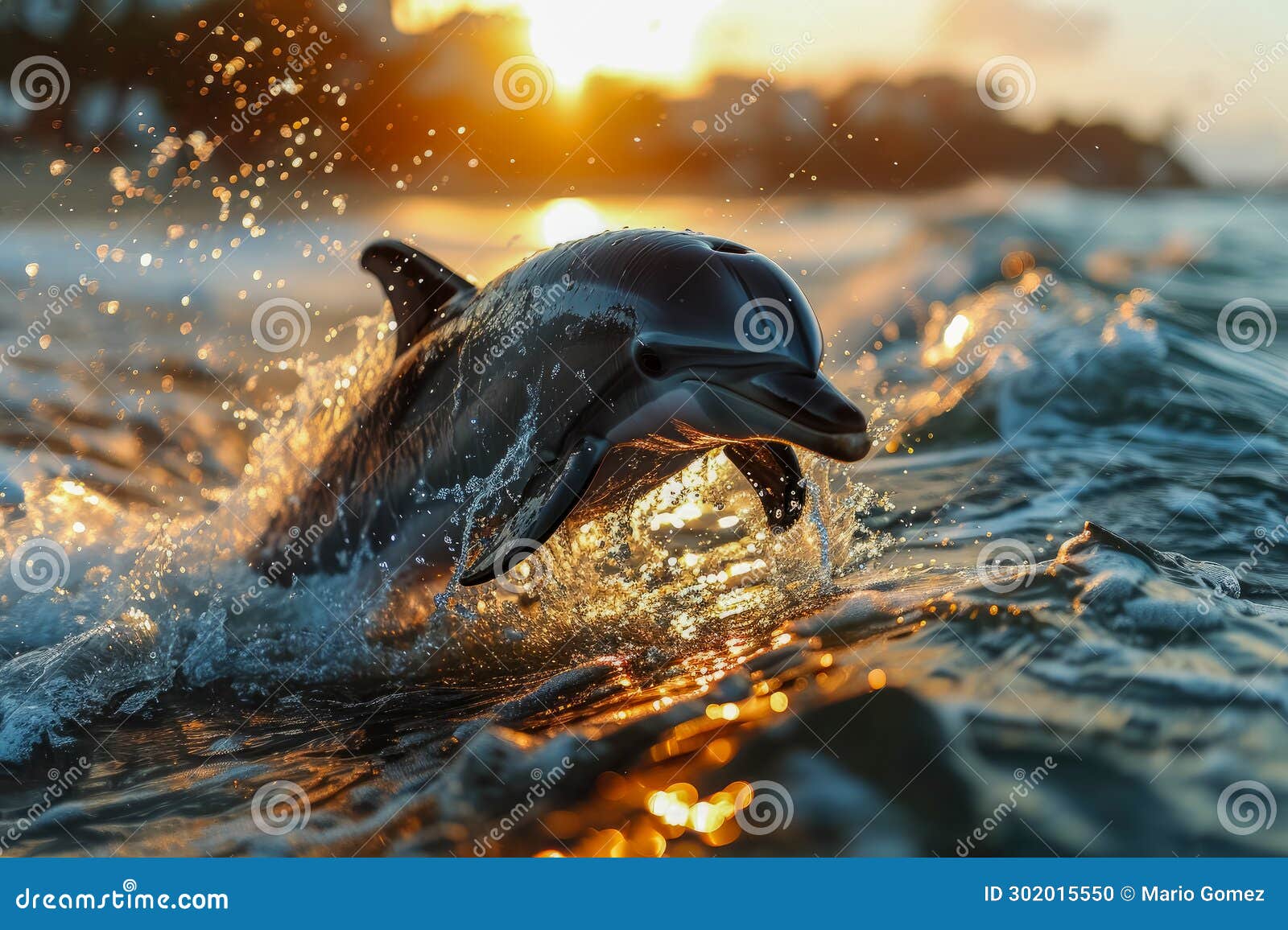 AI Generated a Beautiful Royal Dolphin Jumping in the Ocean As Dawn is ...