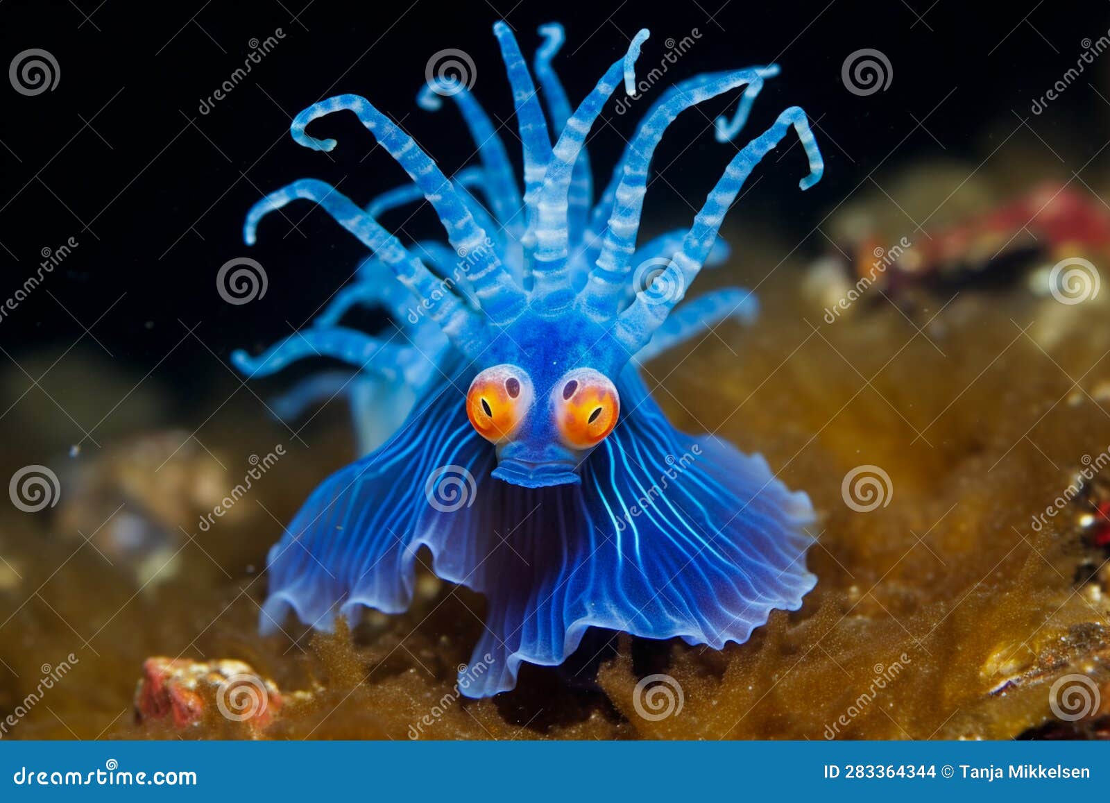 AI generated blue fish stock illustration. Illustration of tank - 283364344