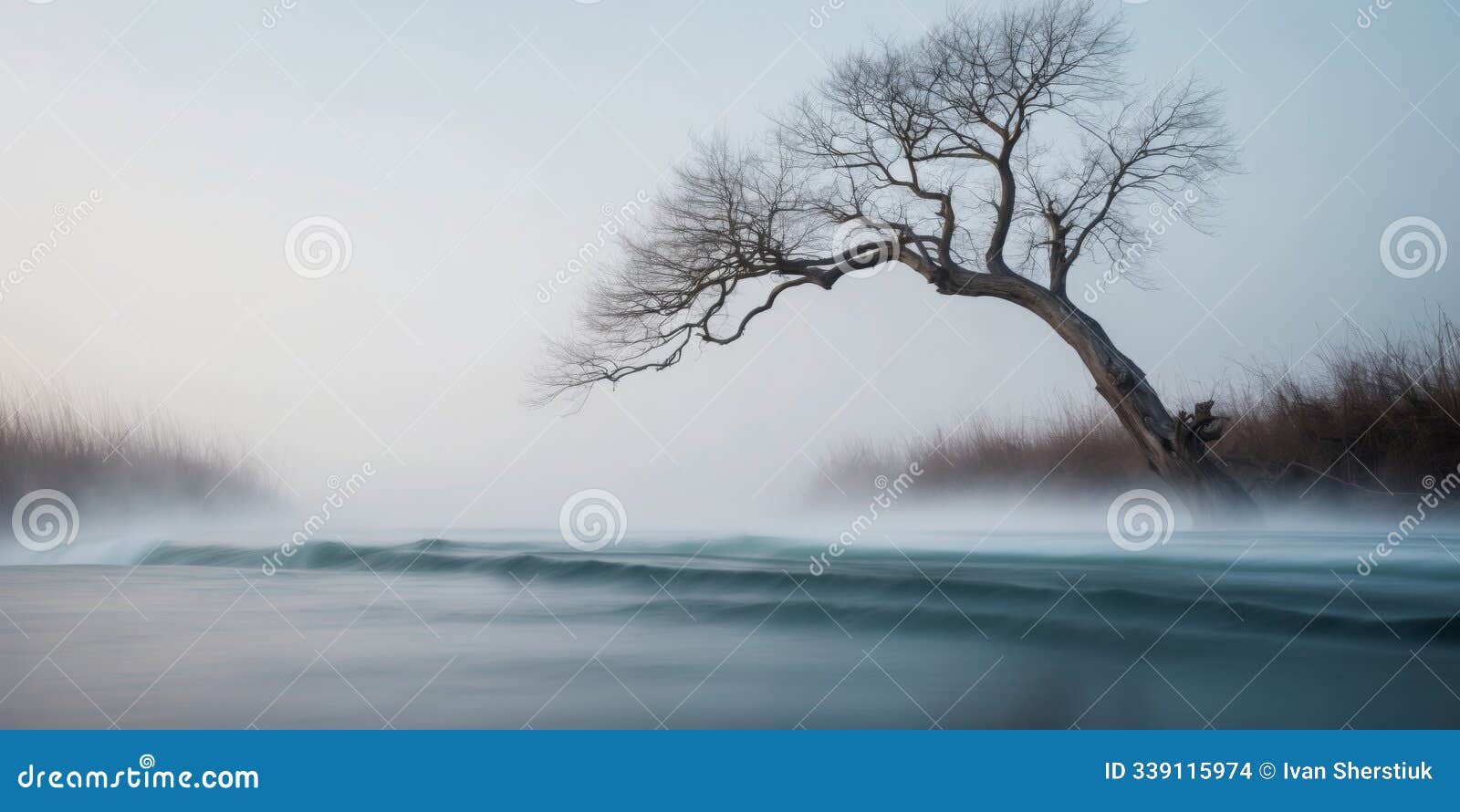 Through Dramatic Falling Peaceful Leaning Misty Flowing with. Stock ...