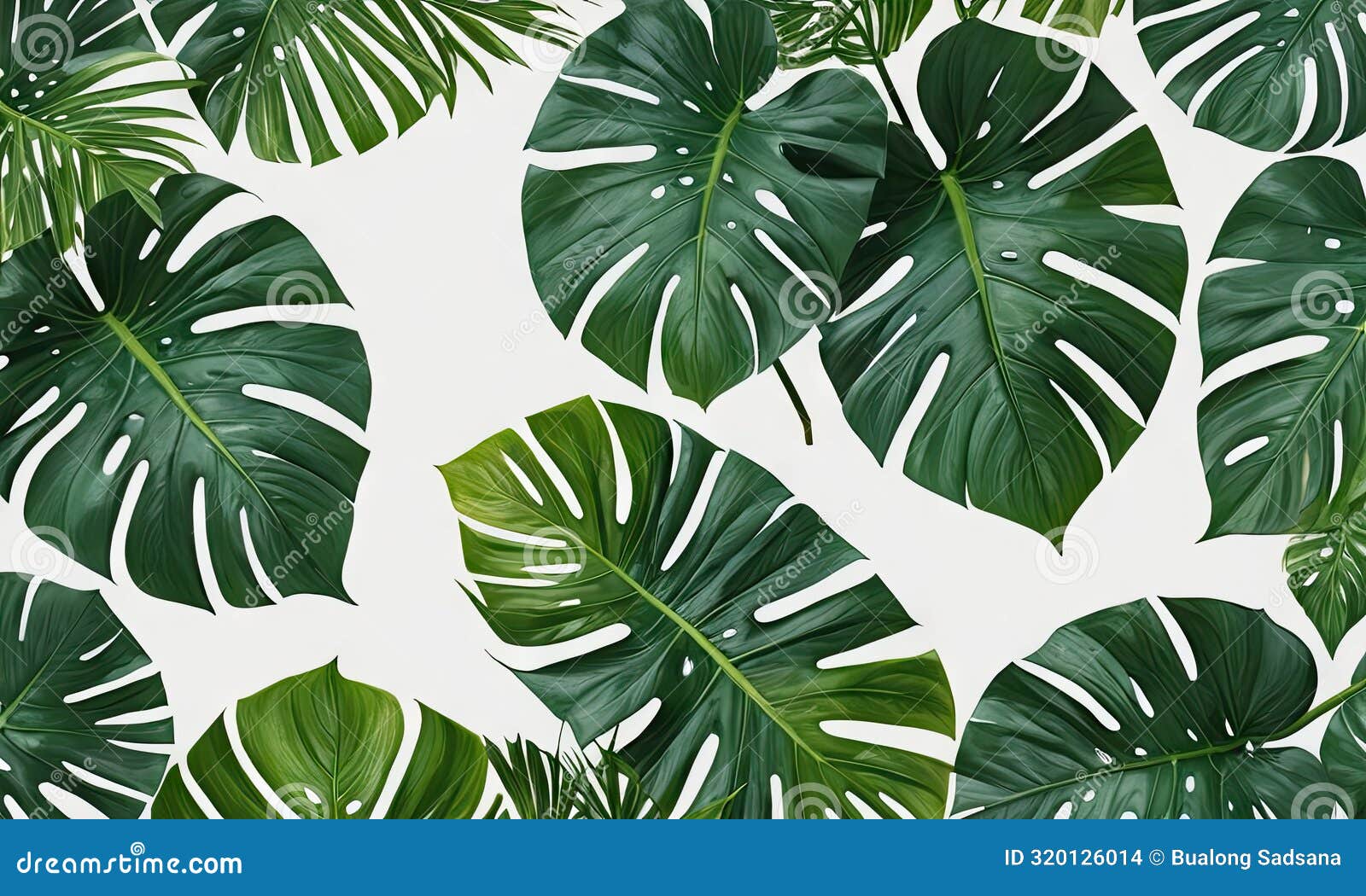A Pattern of Green Leaves is Displayed on a White Background. Stock ...