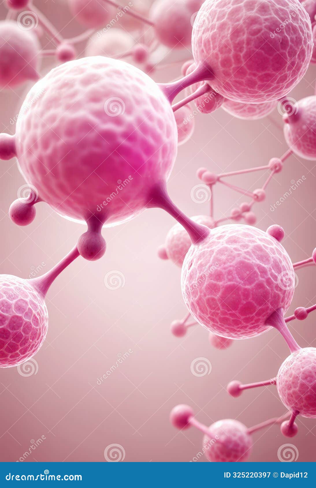 A Group of Pink Cells with Many Small Molecular Model Stock ...