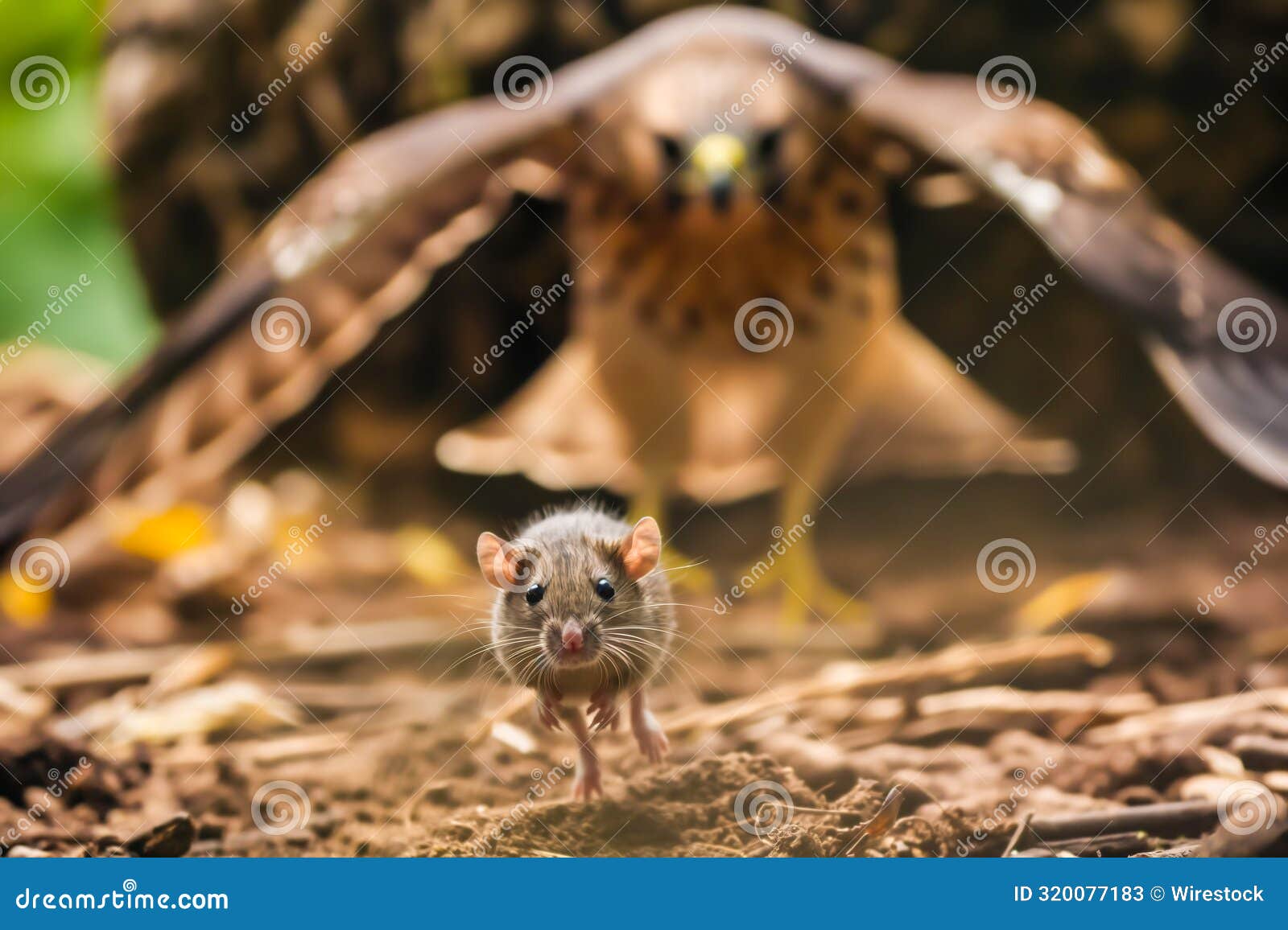 AI Generated Illustration of an Eagle Praying on Mouse Stock Image ...