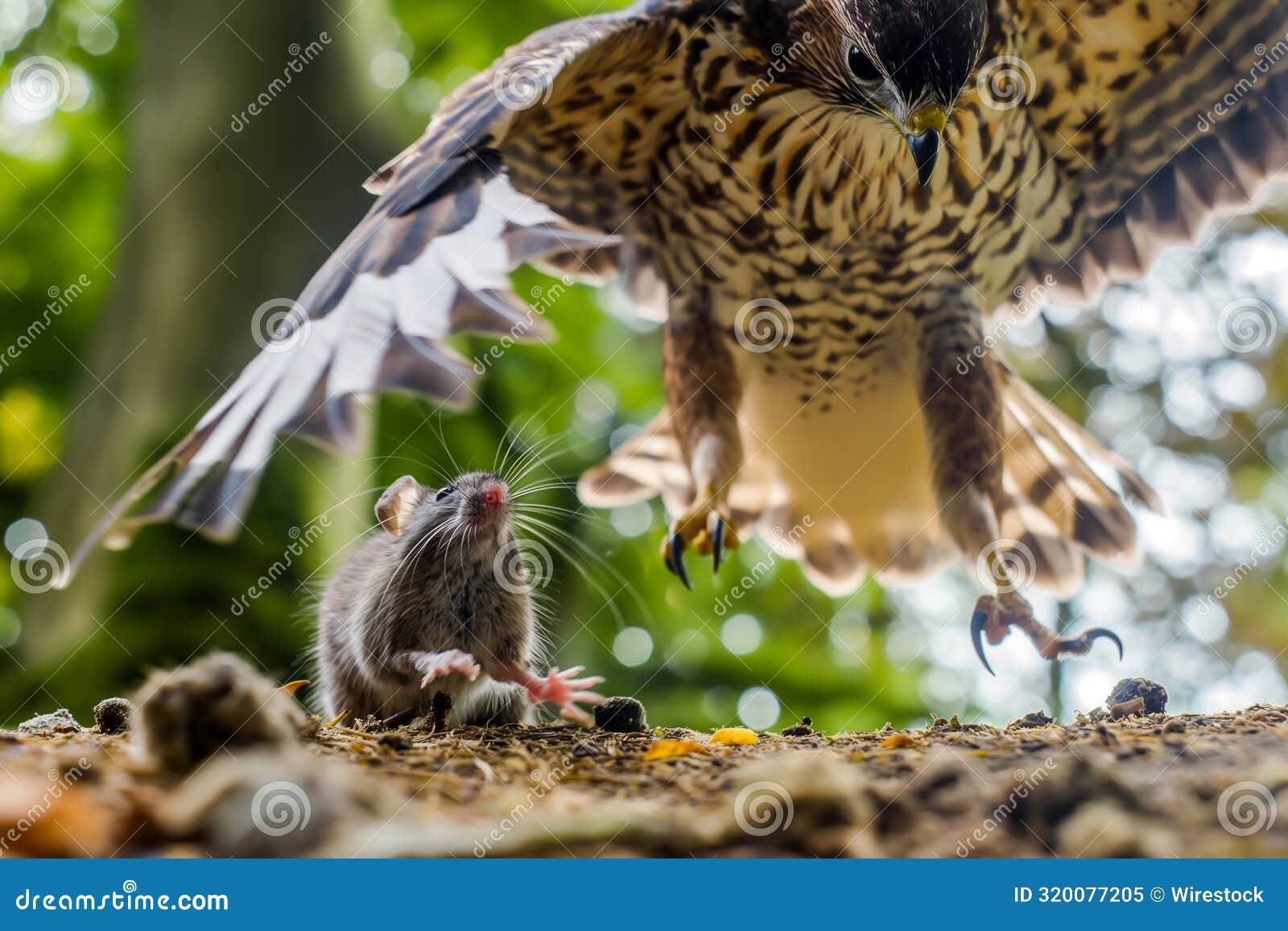 AI Generated Illustration of an Eagle Praying on Mouse Stock Image ...