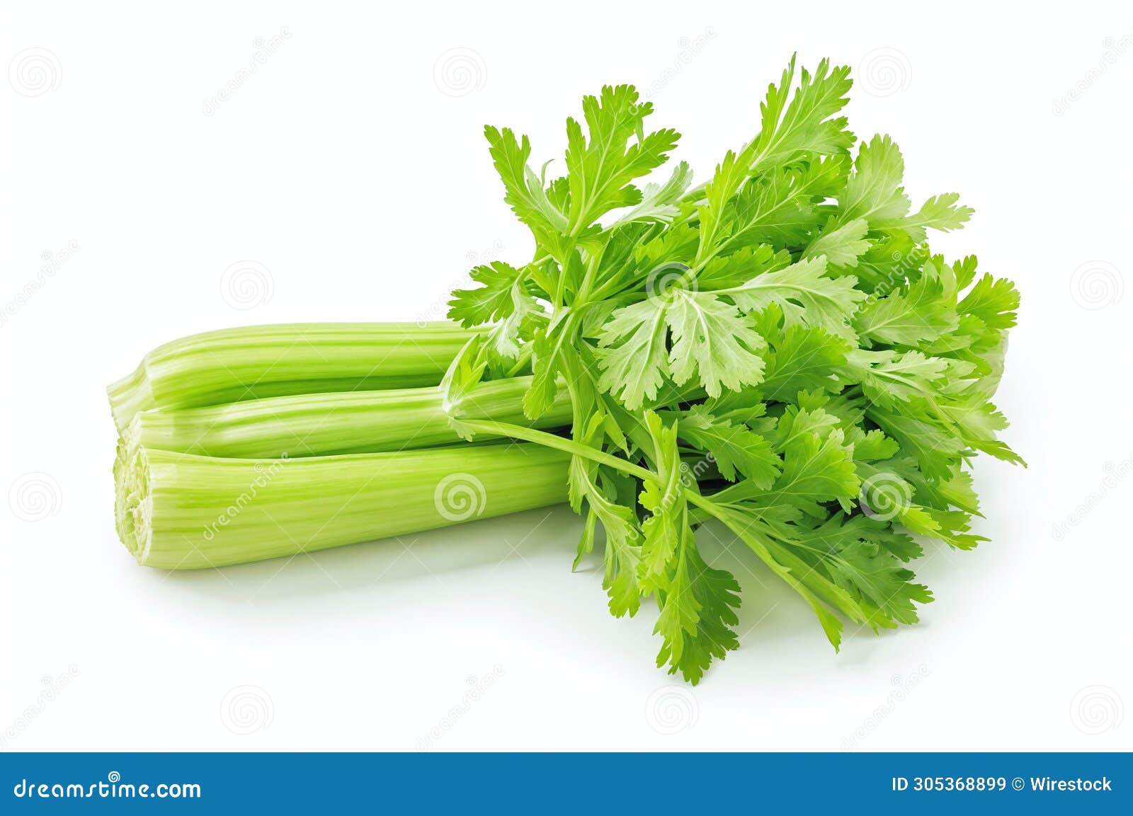 AI Generated Illustration of Fresh Celery Bundle with Vibrant Green ...