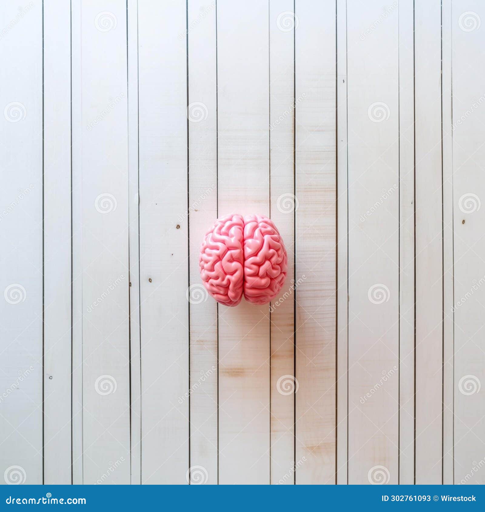 Human Brian, Stomach, Liver, Heart Isolated On White In Gray Color ...