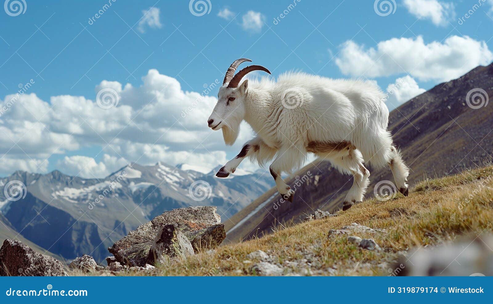 AI Generated Illustration of a Mountain Goat Running on Grassy Slope ...