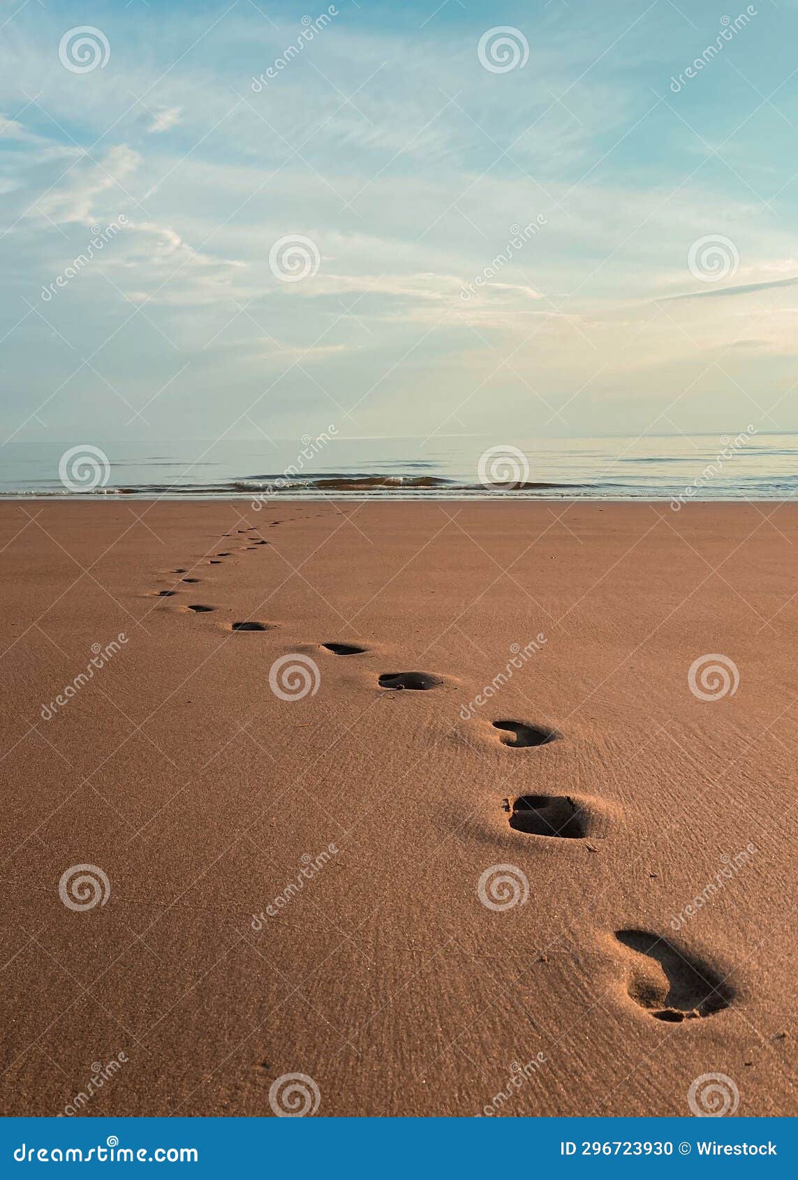 Pair Footprints Human Shoes Silhouette. Shoe Soles Print. Vector ...