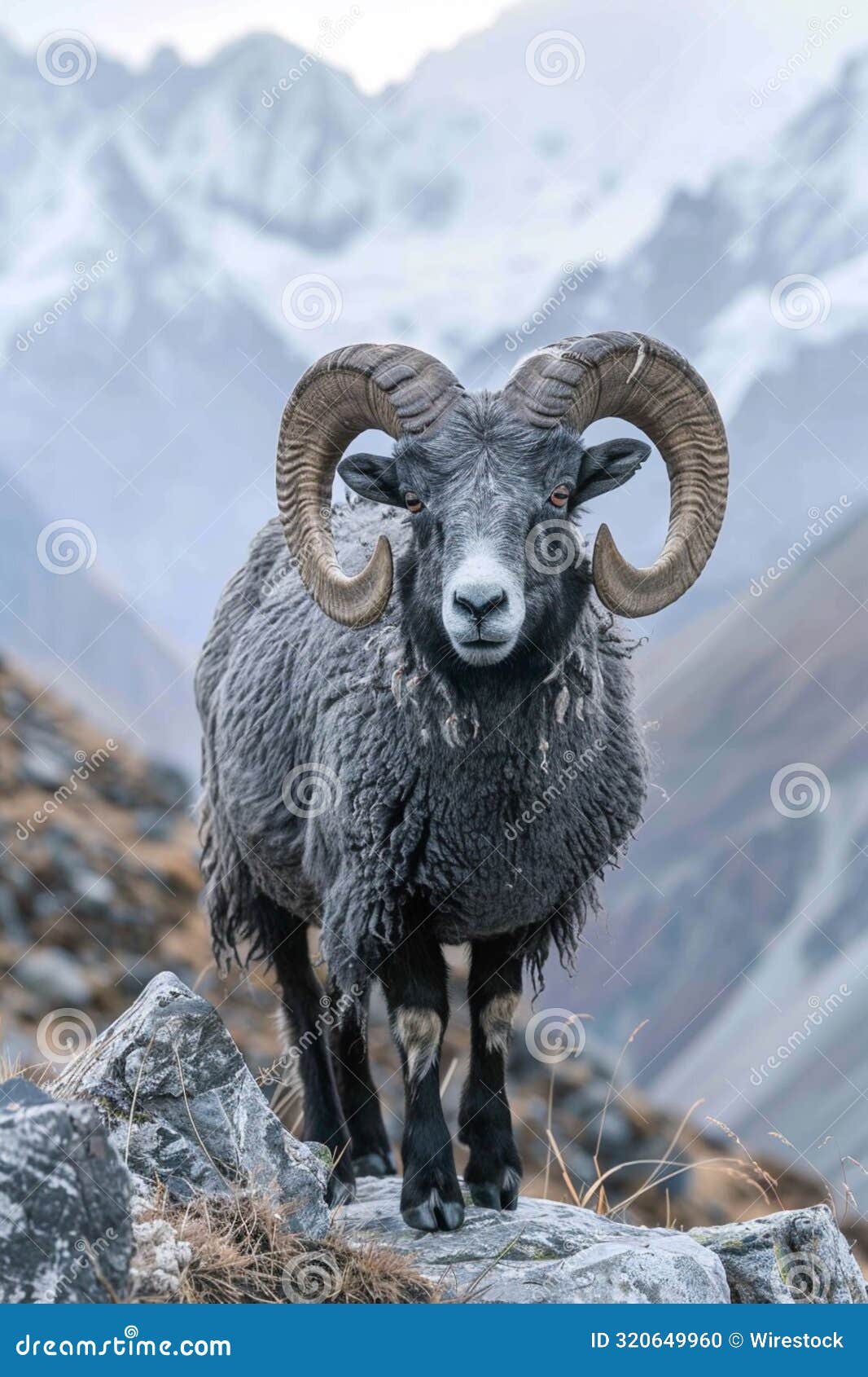 AI Generated Illustration of a Ram Standing on Mountain Ledge, Making ...