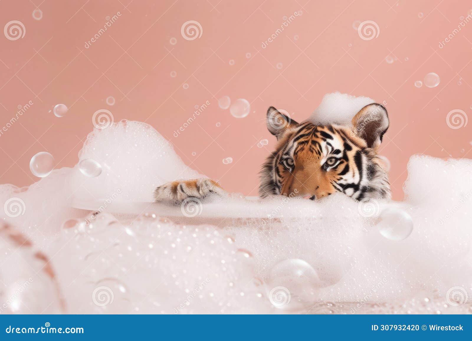 AI Generated Illustration of a Tiger in Bath with Soap Bubbles Stock ...