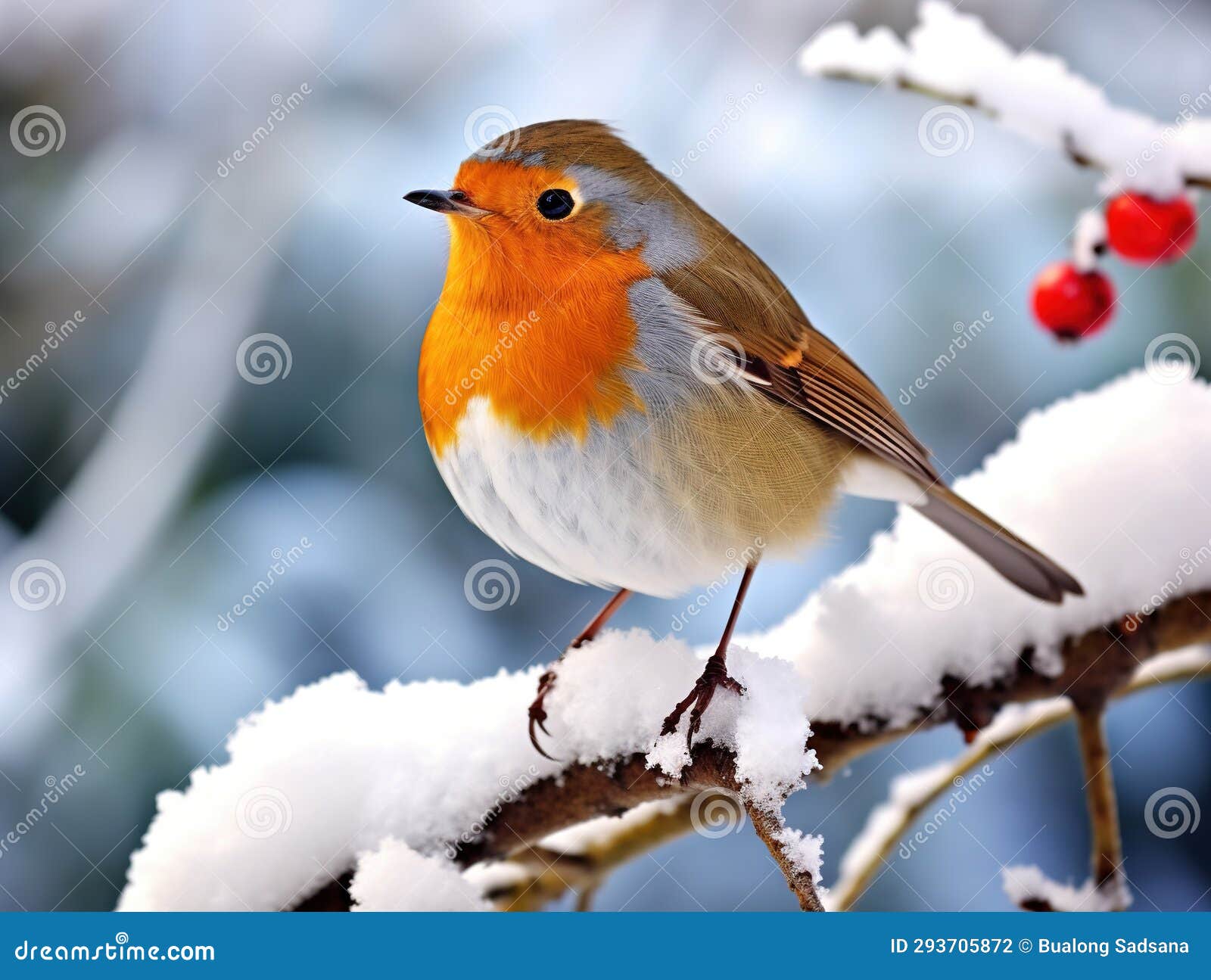 Ai Generated Illustration Wildlife Concept of Fat Robin Stock ...