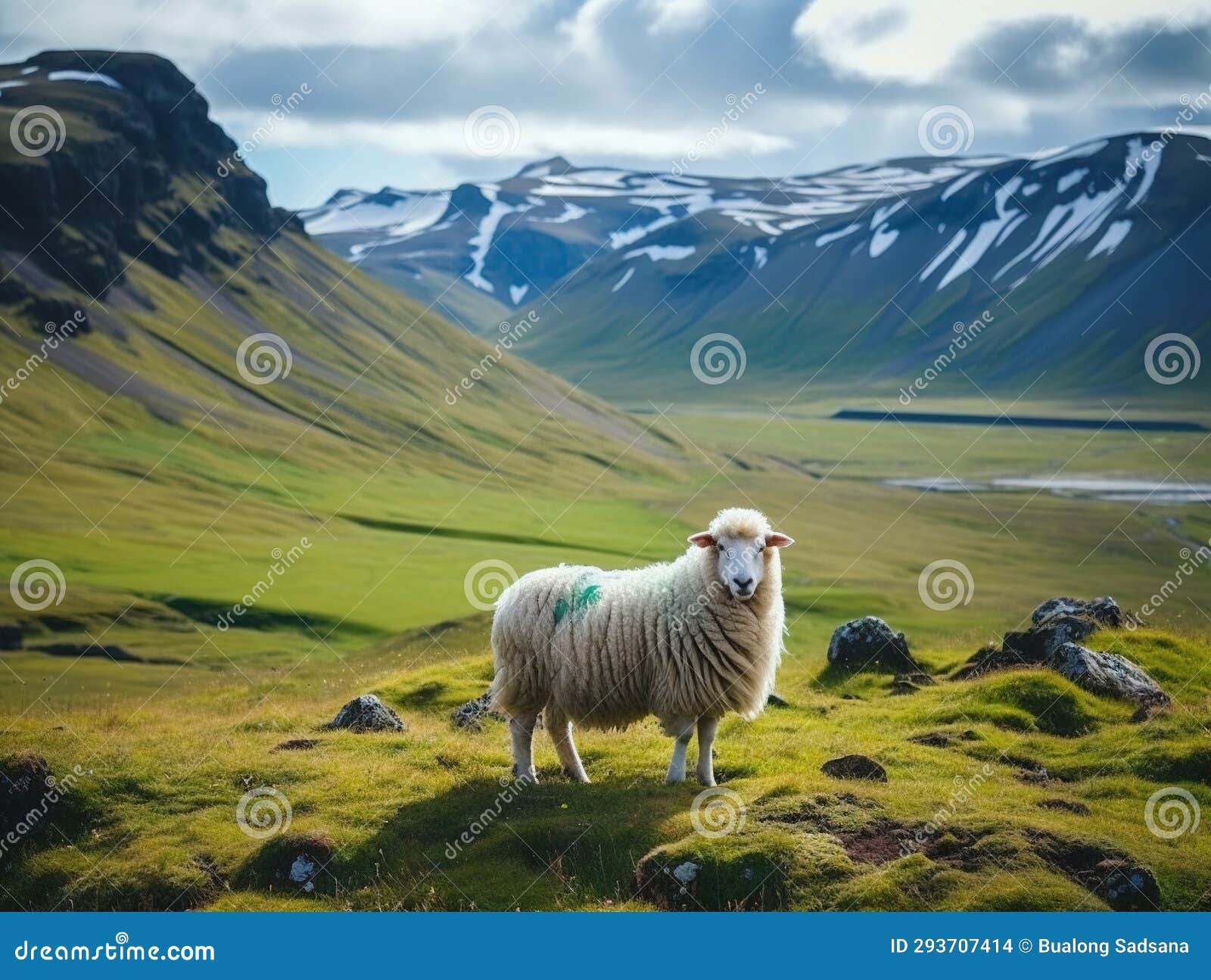 Ai Generated Illustration Wildlife Concept of Sheep in Iceland Stock ...