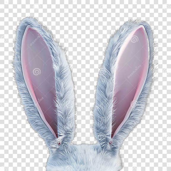 Bunny Ears Transparent Background Realistic Element Stock Illustration ...