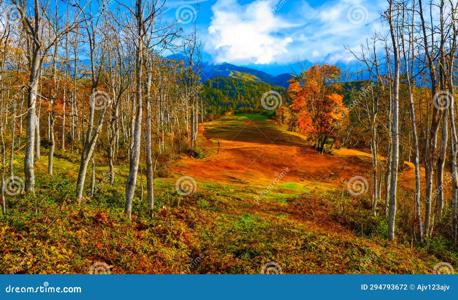 AI Generated Image of the Concept of "after the Trees Have Gone" Stock ...