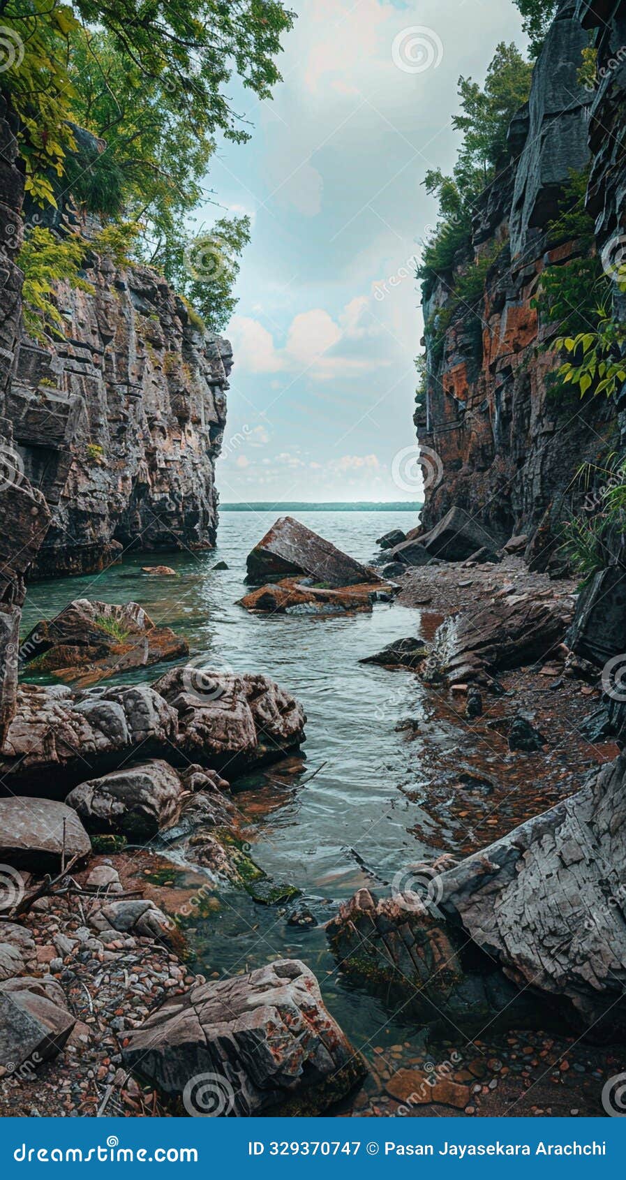 Coastal Inlet Cliffs Covered in Greenery Stock Illustration ...
