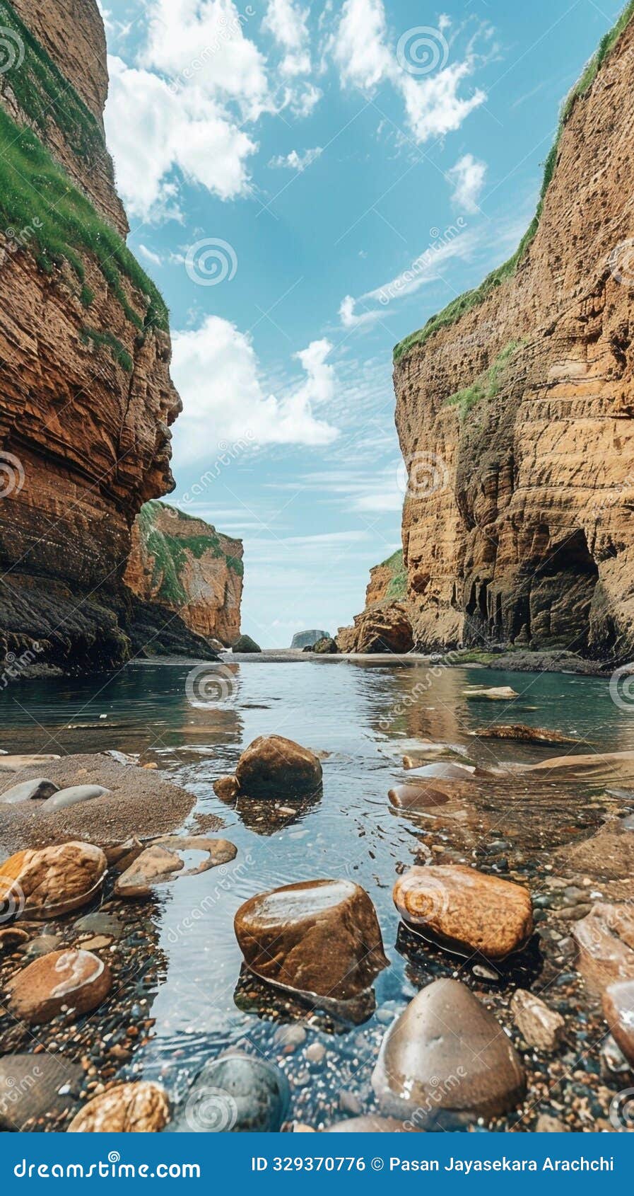 Coastal Inlet Cliffs Covered in Greenery Stock Illustration ...