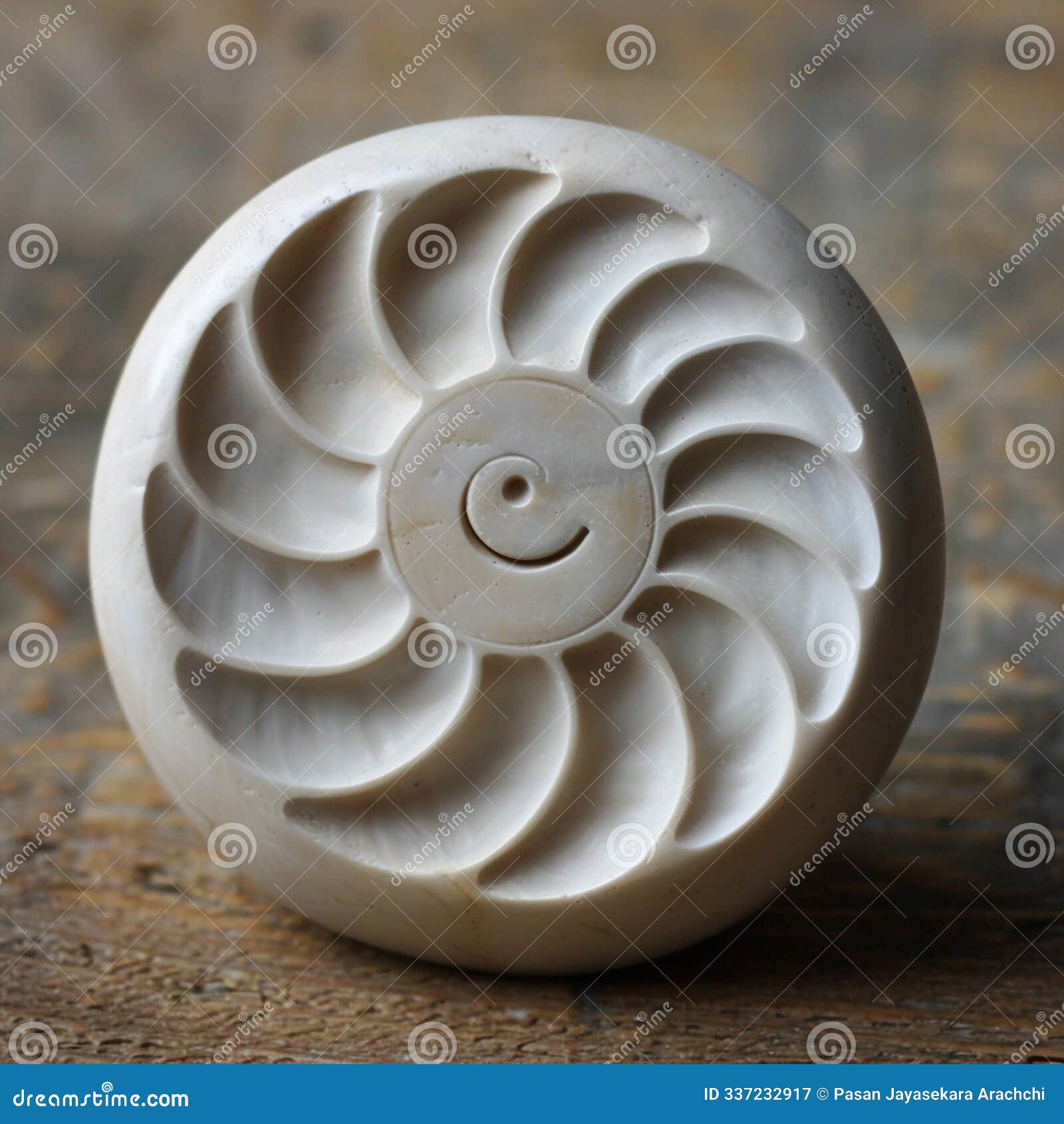 Smiley Face Featuring a Nautilus with a Coiled Shell Stock Illustration ...