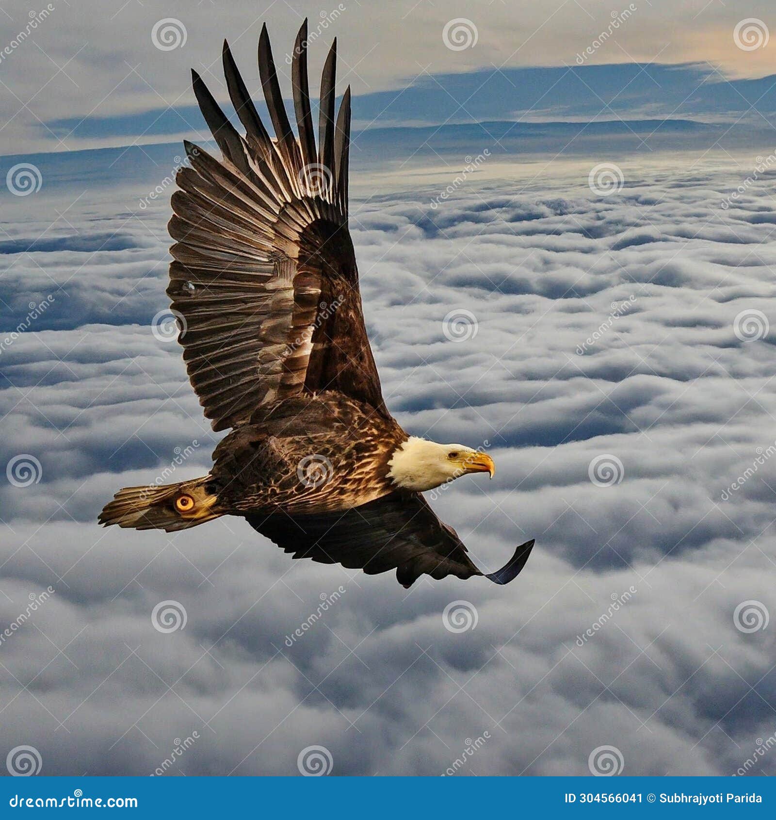 AI Generated Image of an Eagle Flying Above the Clouds with Wings Spread Out Stock Illustration ...