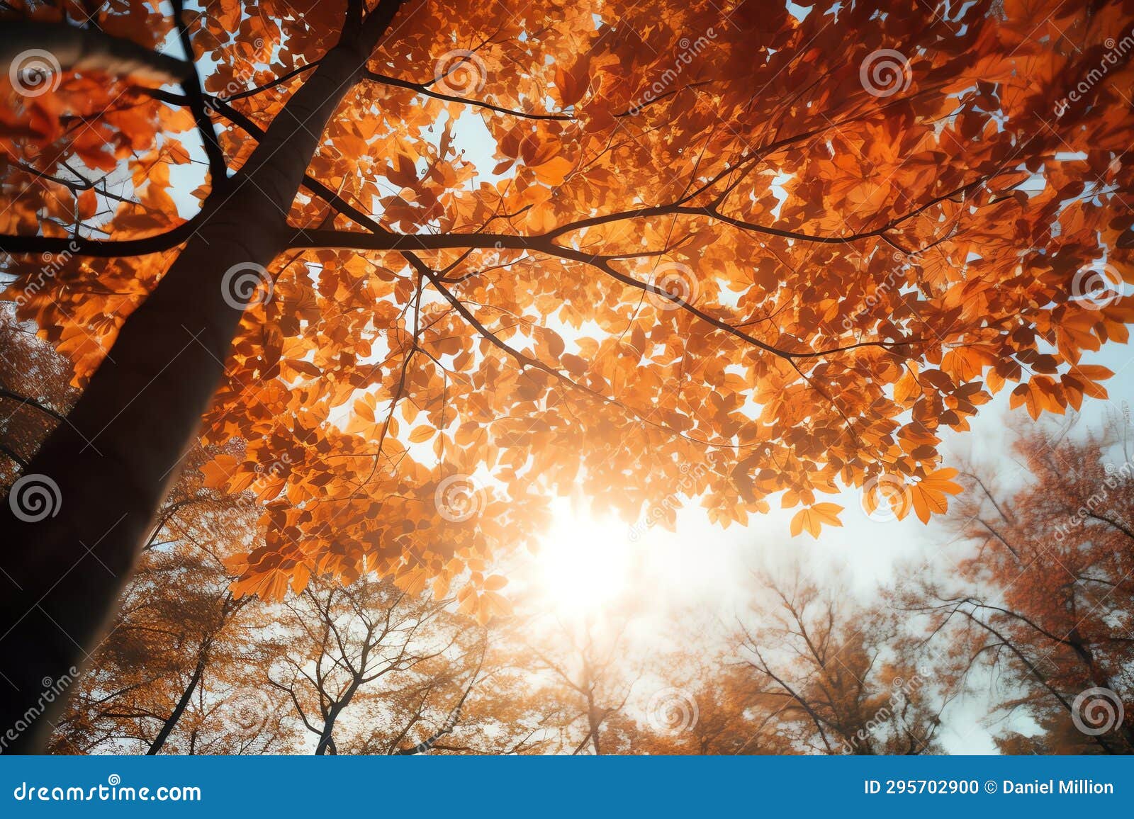a fall dreamy landscape stock illustration. Illustration of rural ...