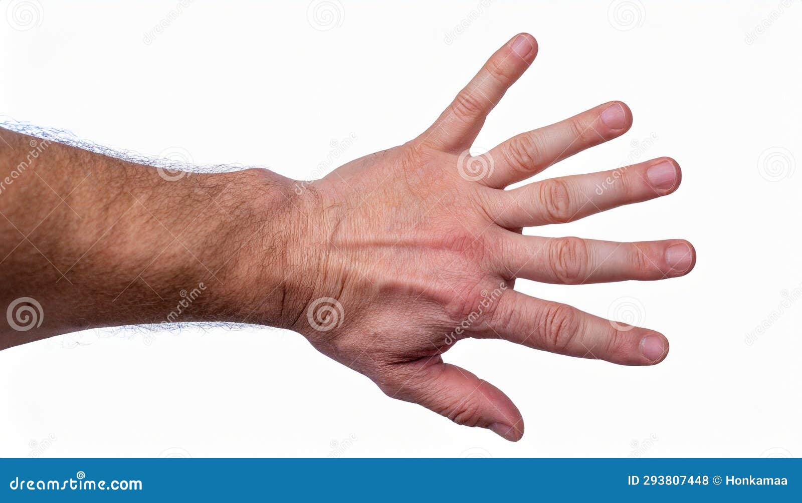 Hand with six fingers stock photo. Image of additional - 293807448