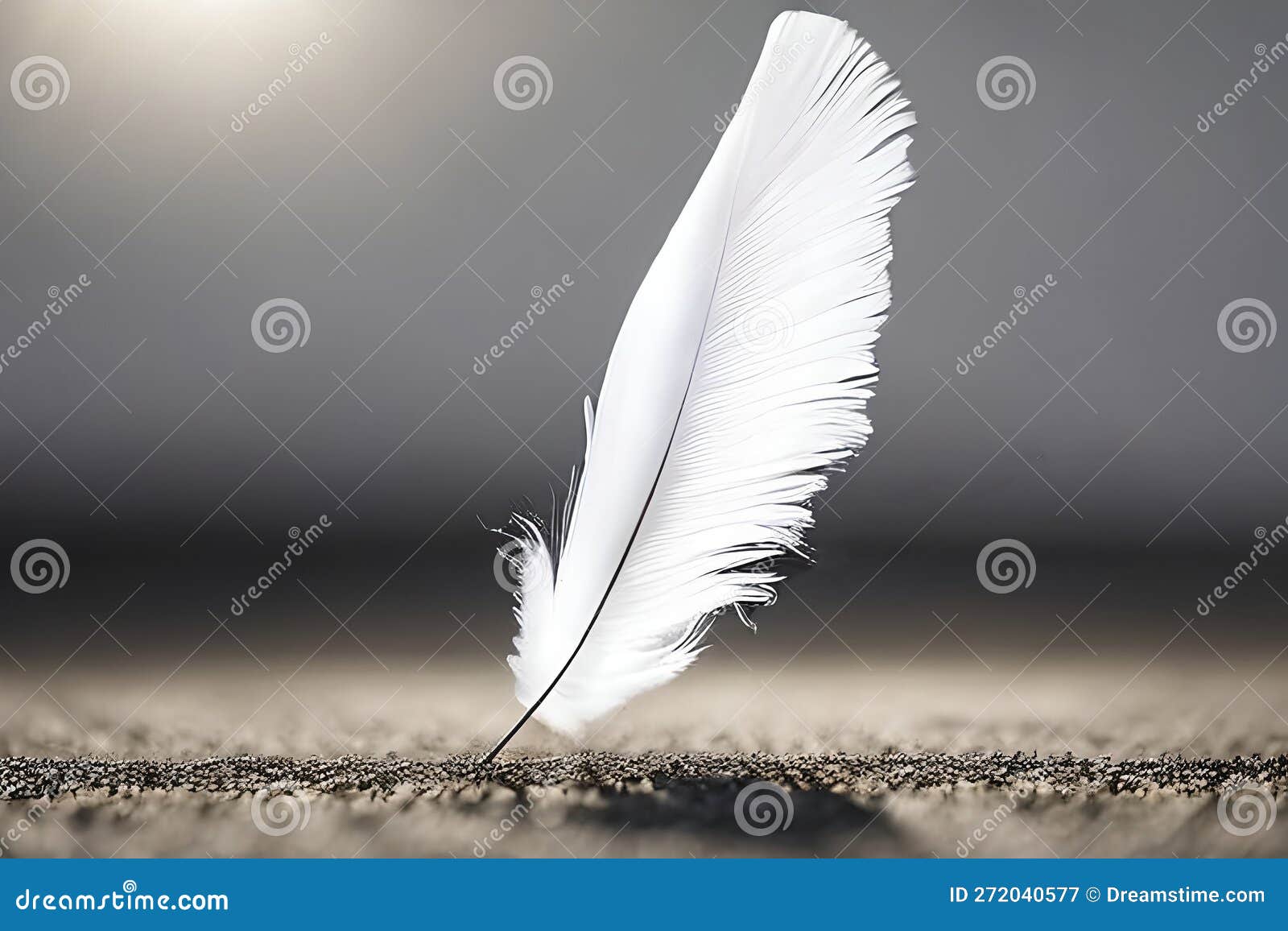 A Single Isolated White Feather Stock Illustration - Illustration of ...