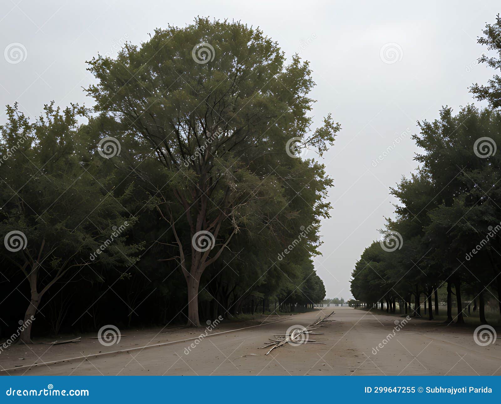 AI Generated Landscape Showcasing The Trees And Leaves Falling During ...