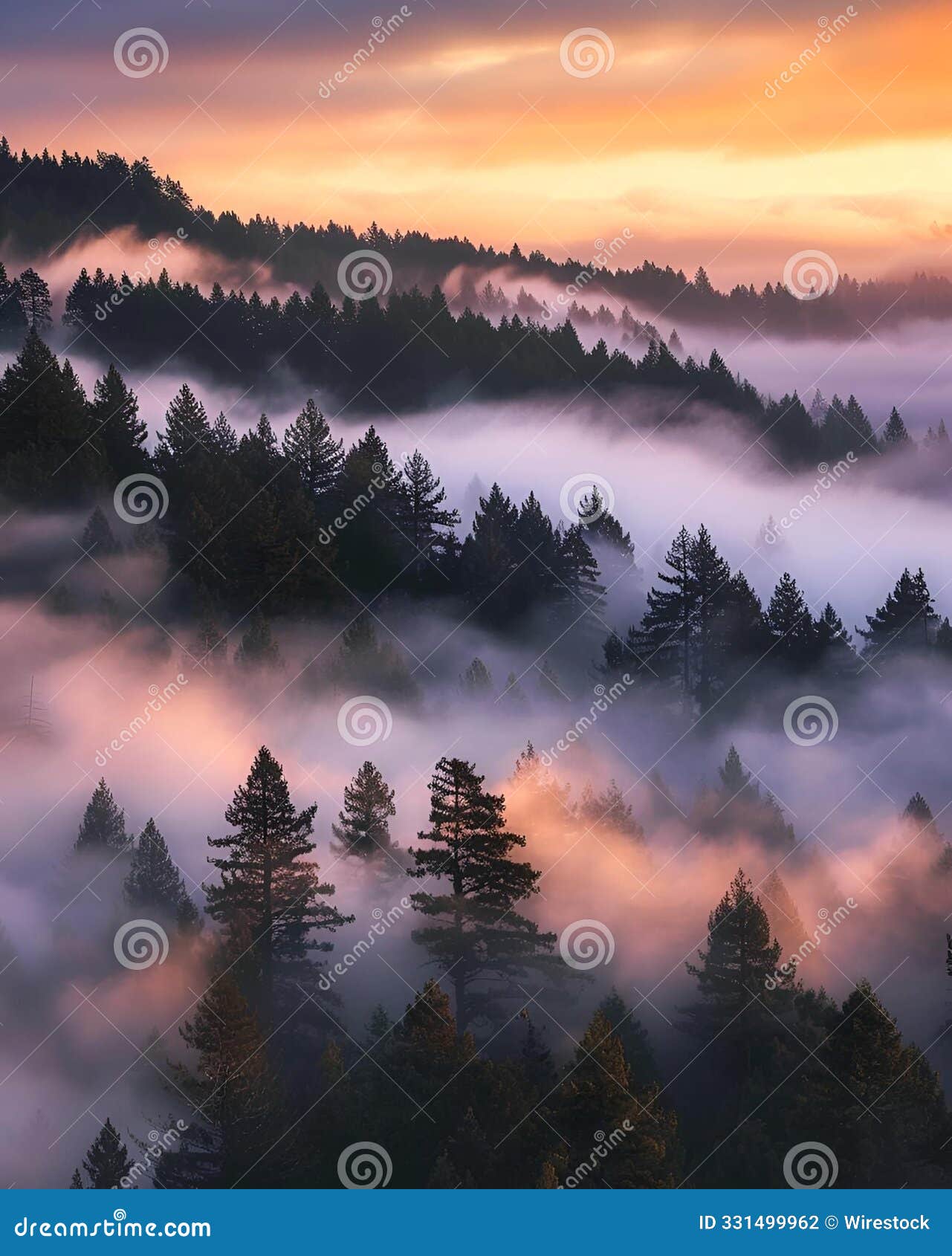 AI-generated Mesmerizing View of a Foggy Forest at Sunrise with Layers ...