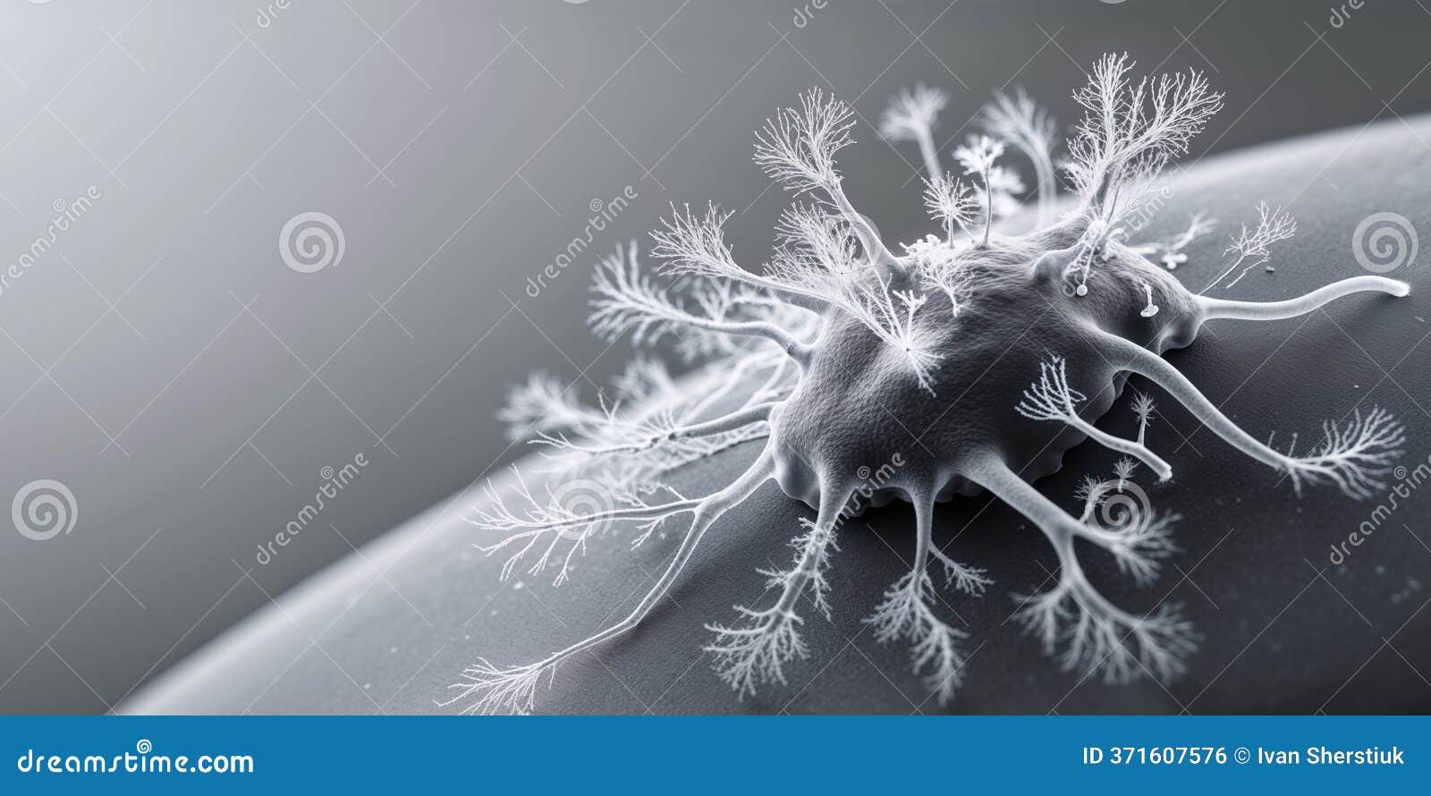 Spores Of Microscopic Fungi Stock Photo | CartoonDealer.com #153715344