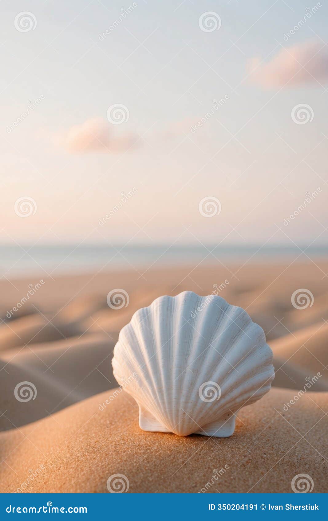A Peaceful Beach Scene with a Shell and the Sun Setting in the ...