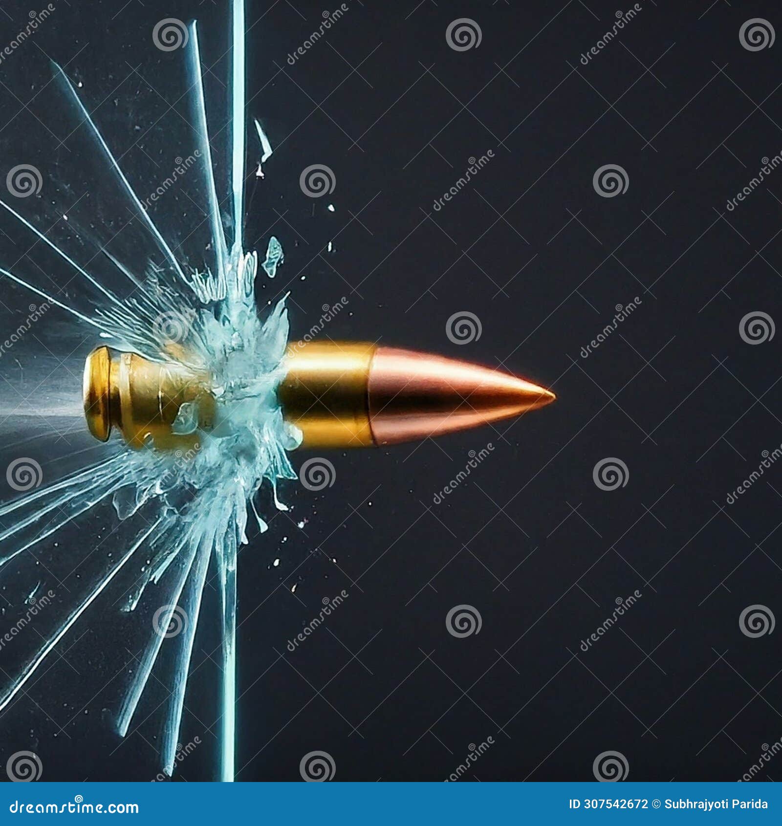 Bullet With Wing Vector Illustration | CartoonDealer.com #14411696