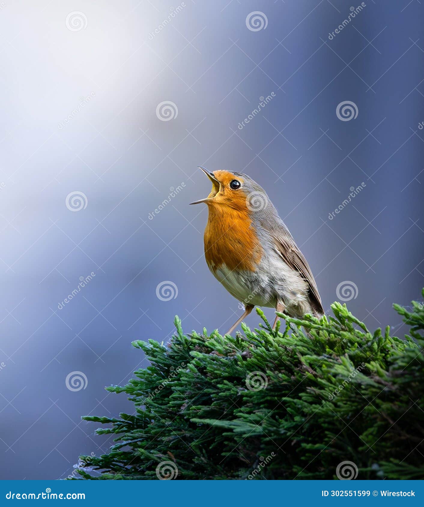 AI Generated Small Robin Perching on Tree Branch Stock Illustration ...