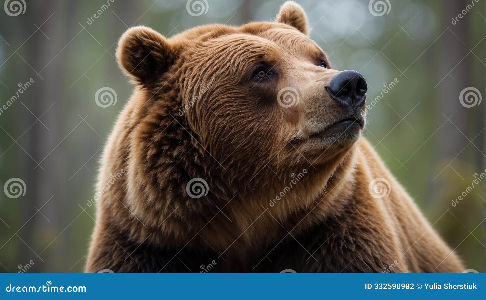 A Thoughtful Brown Bear Scratching Its Head. Stock Illustration ...