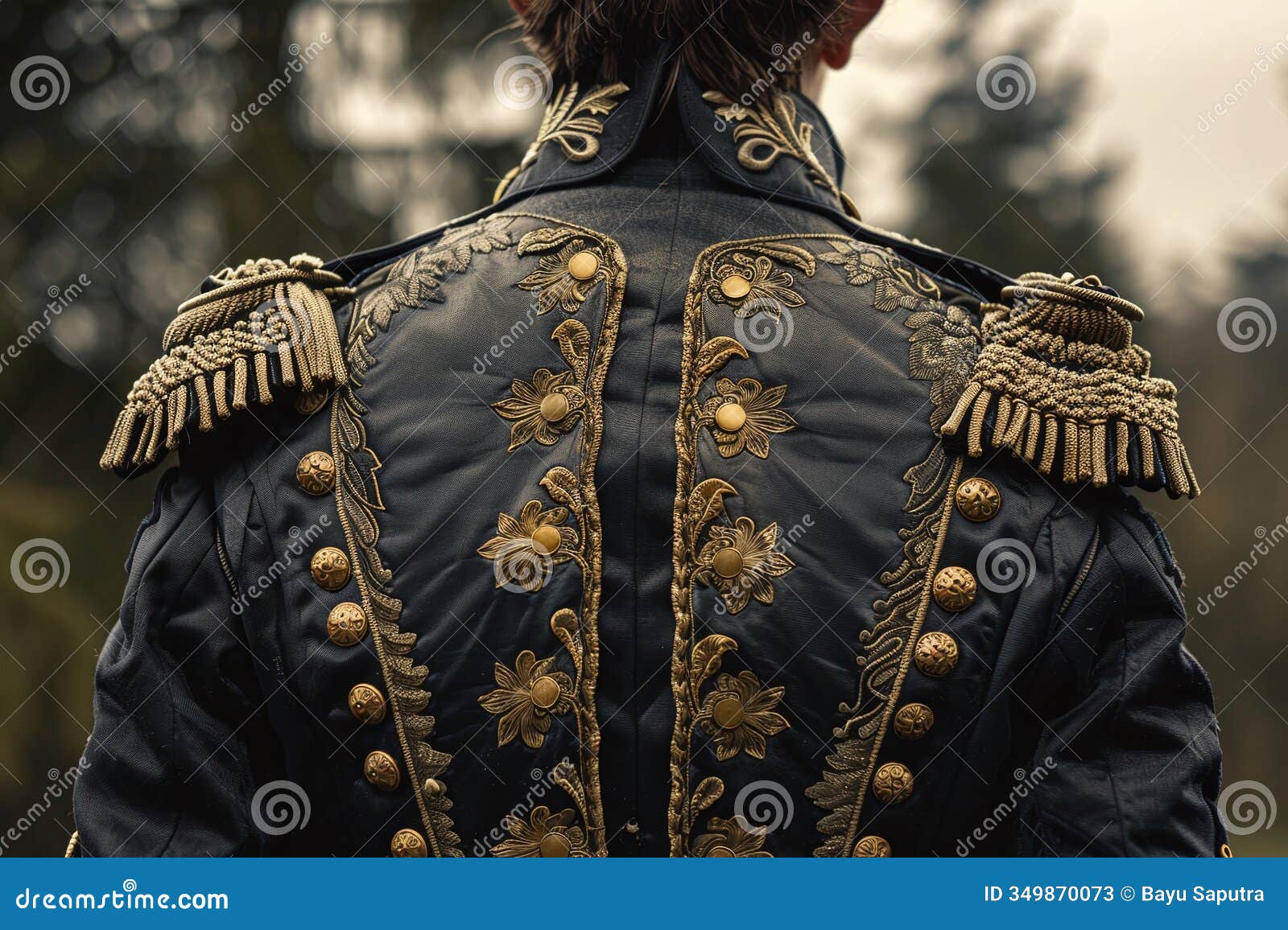 Ai Generative Back View of Napoleon Stock Illustration - Illustration ...