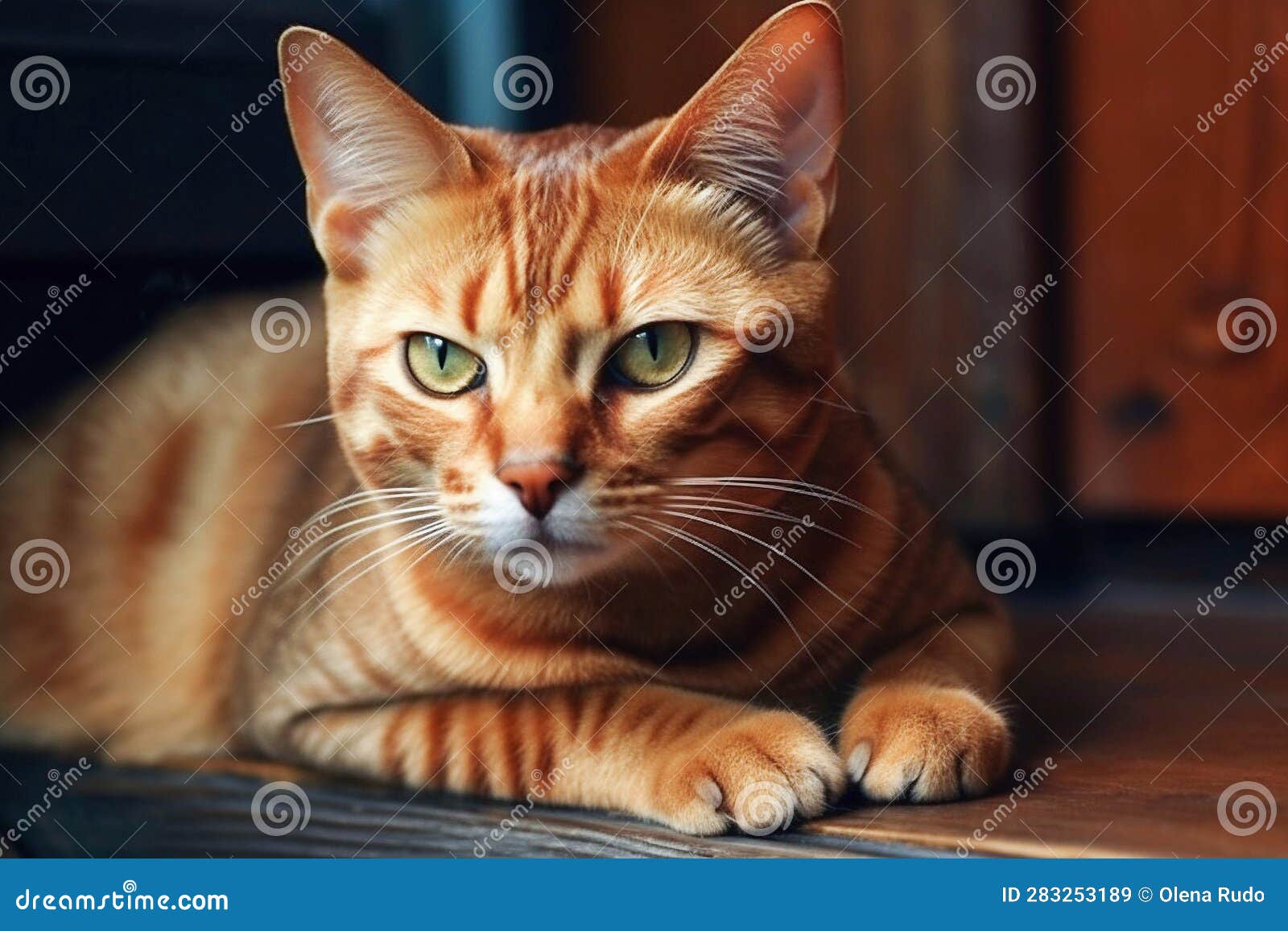 Ai Generative. Cute Ginger Tabby Cat Stock Illustration - Illustration ...