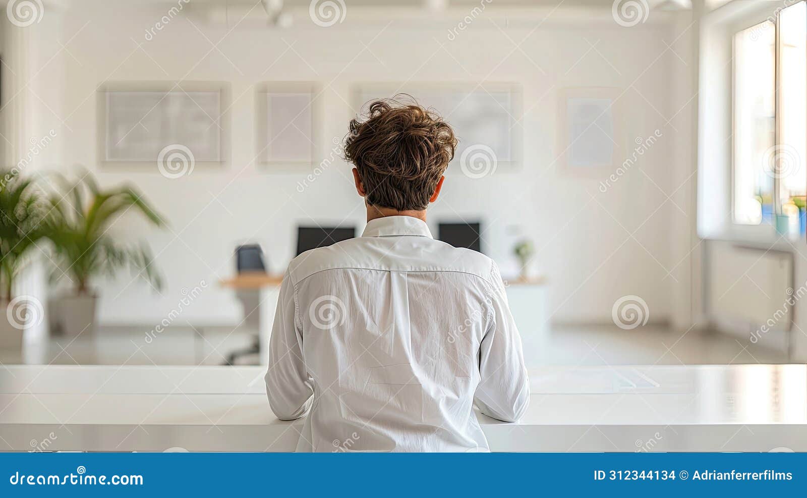 Professional Man from Behind Looking at an Office. Stock Illustration ...