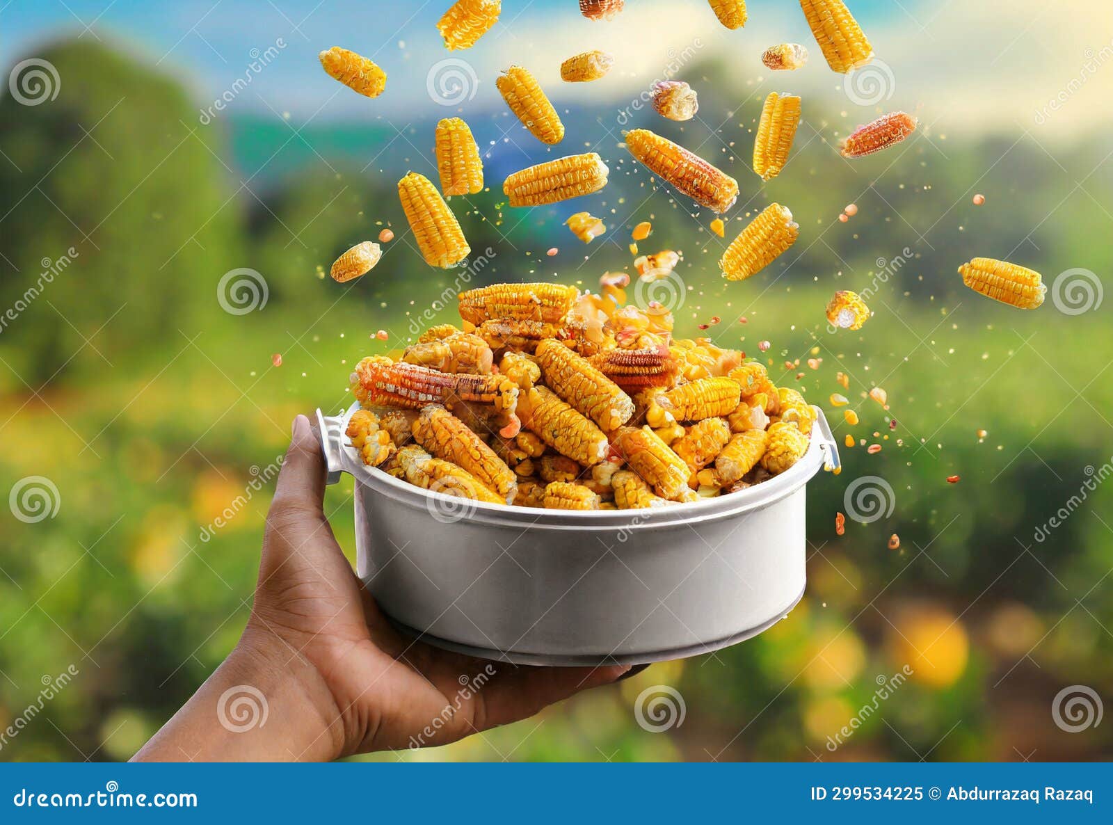 Roasted corn stock illustration. Illustration of sweetcorn - 299534225