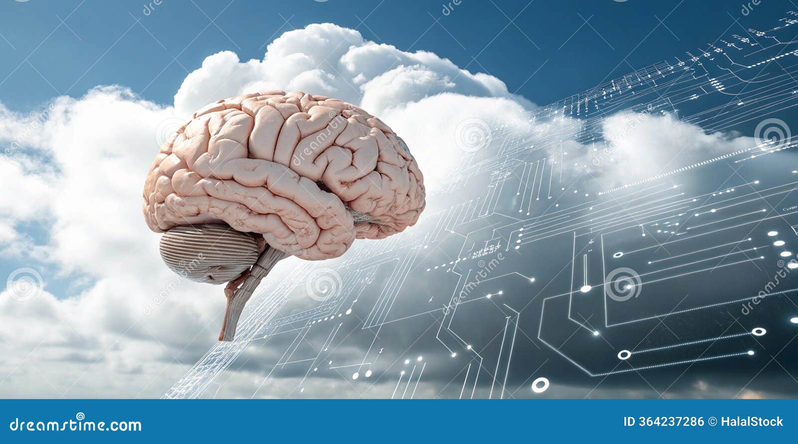 Neurological AI Data: Electronic Brain Concept In Cyberspace Stock ...