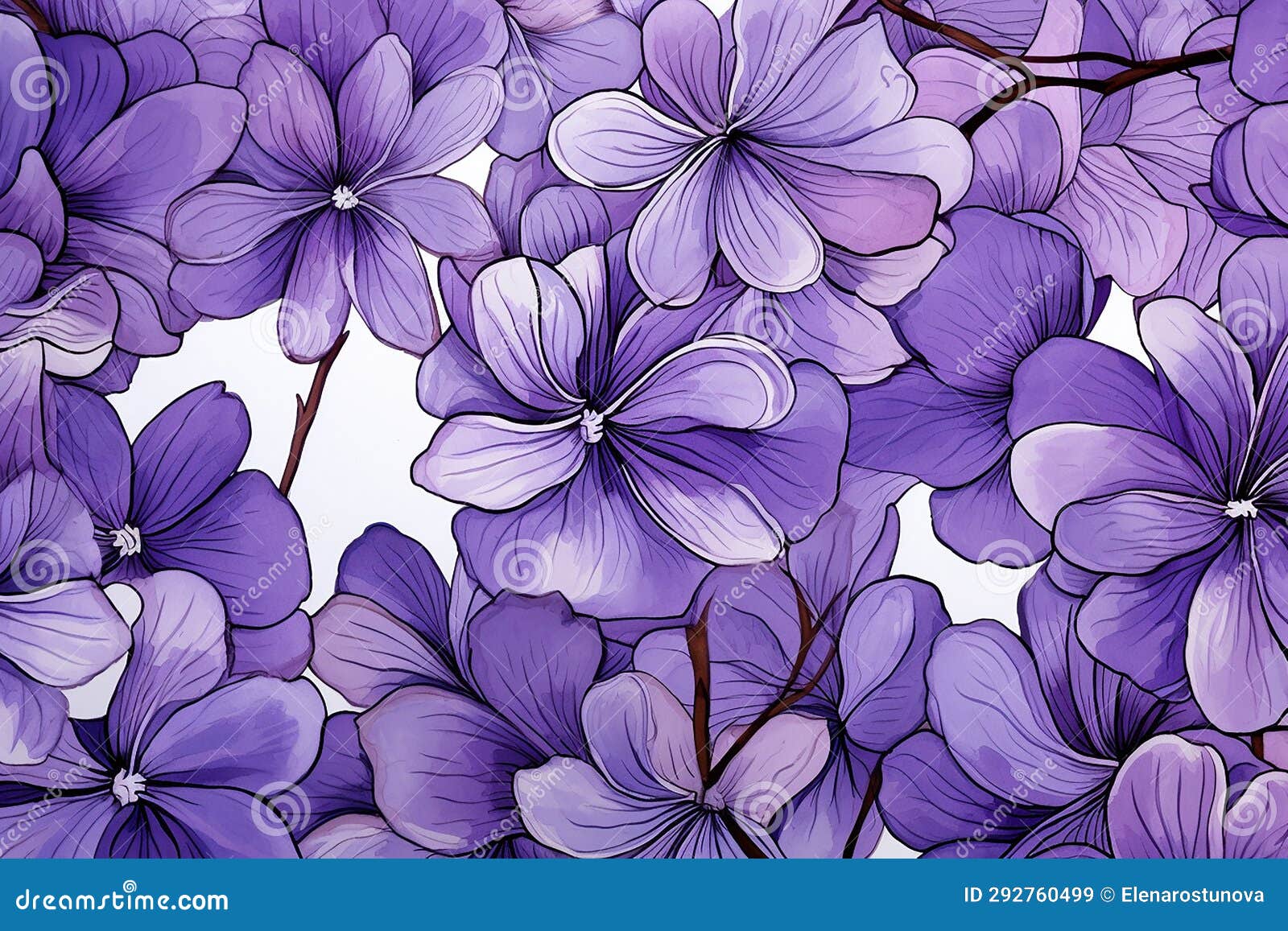 Jacaranda Blossom Tree Illustration Royalty-Free Cartoon ...