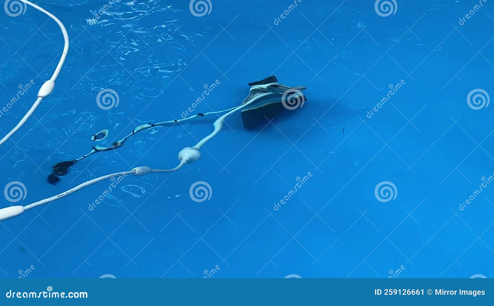 Self Clearing Robotic Motorized Underwater Pool Cleaner Cleaning the ...