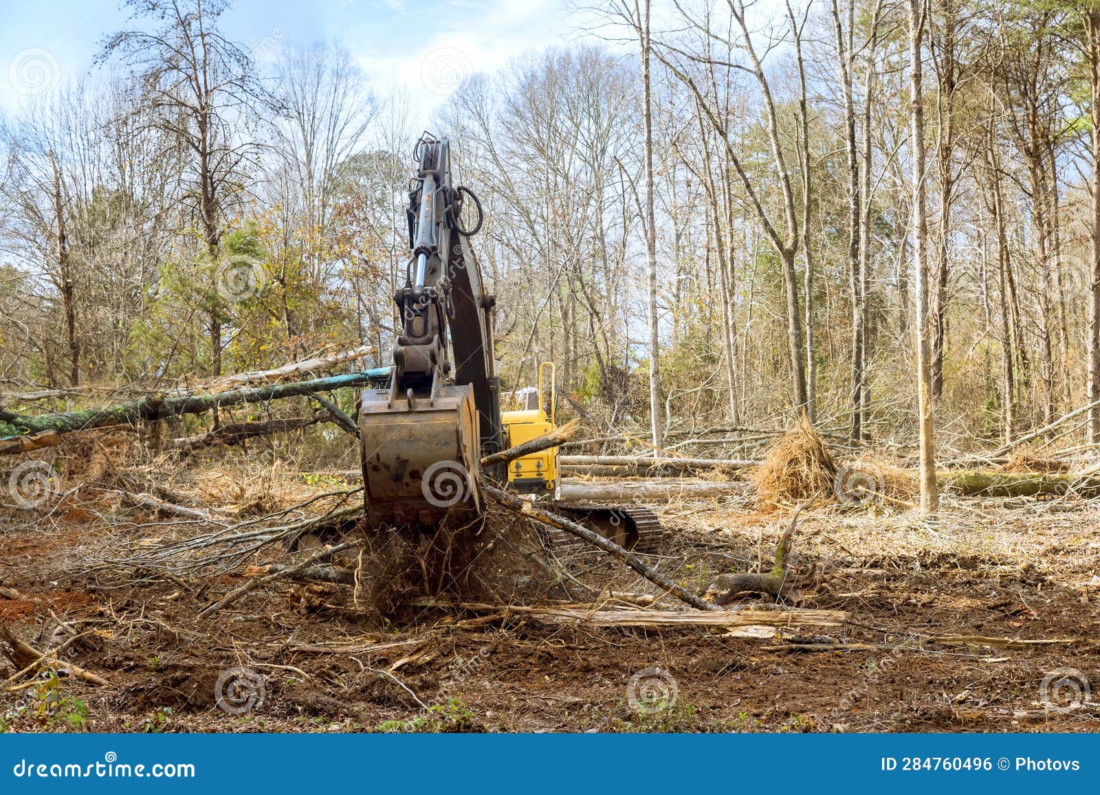 With Aid of an Excavator Worker is Removing Trees from Forest To Create a Building Site. Stock ...