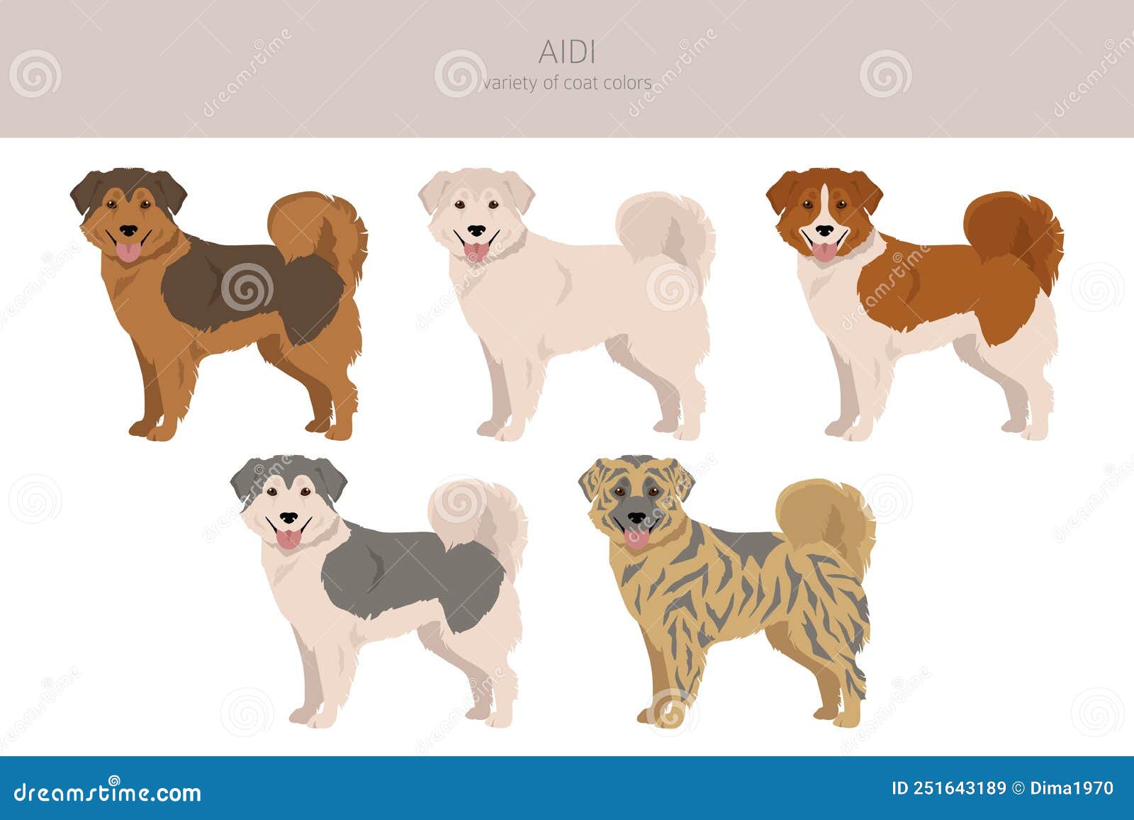 Aidi Clipart. Different Poses, Coat Colors Set Stock Vector ...