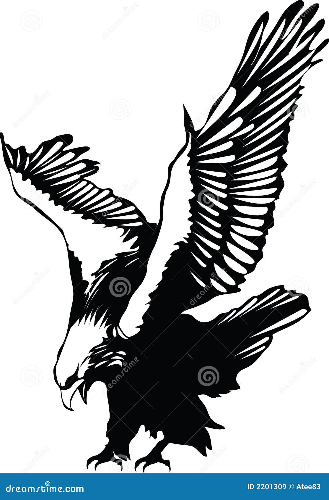 Aigle de vol de vecteur illustration de vecteur. Illustration du ...