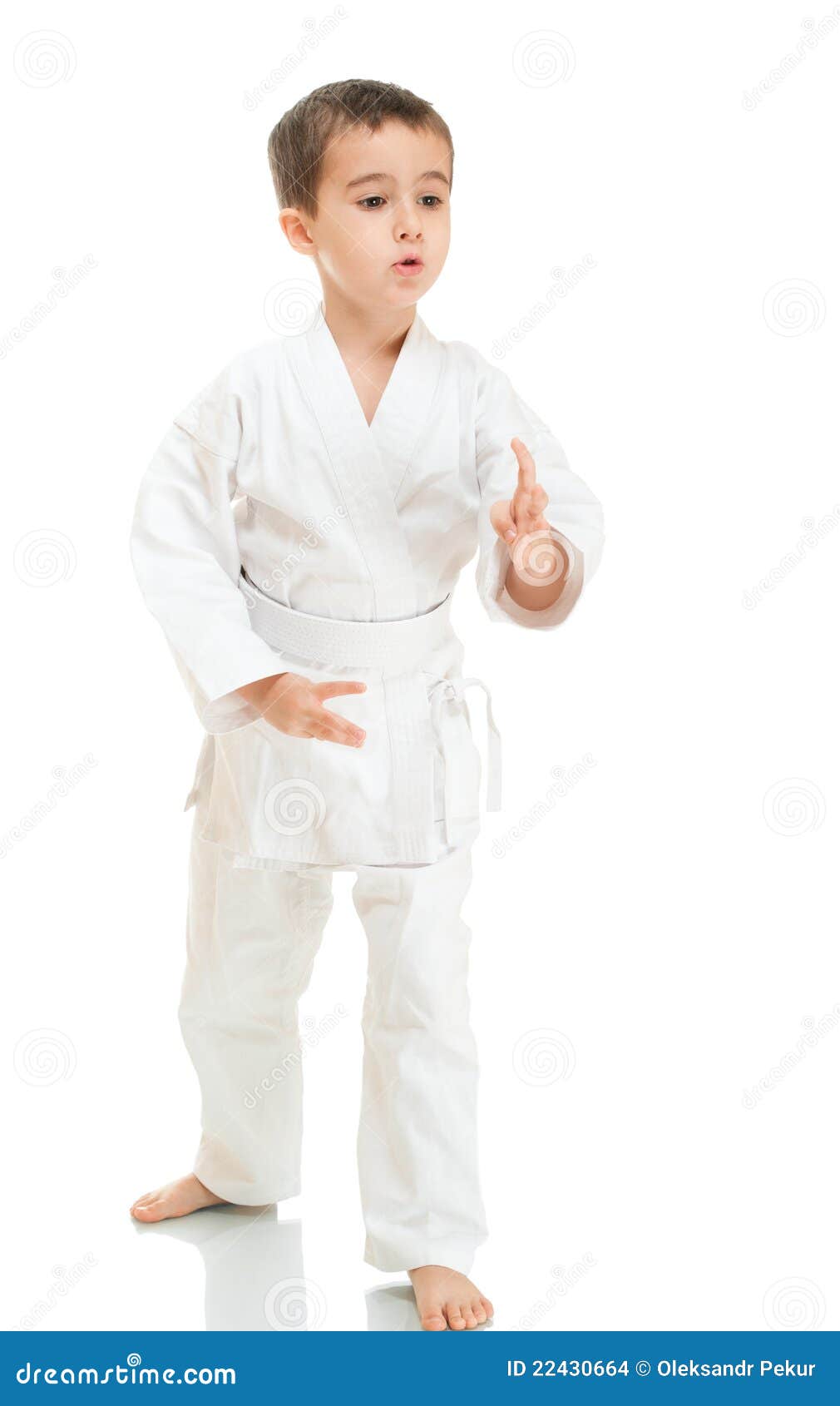 Aikido Fighting Pose With Wooden Bokken Stock Image | CartoonDealer.com ...