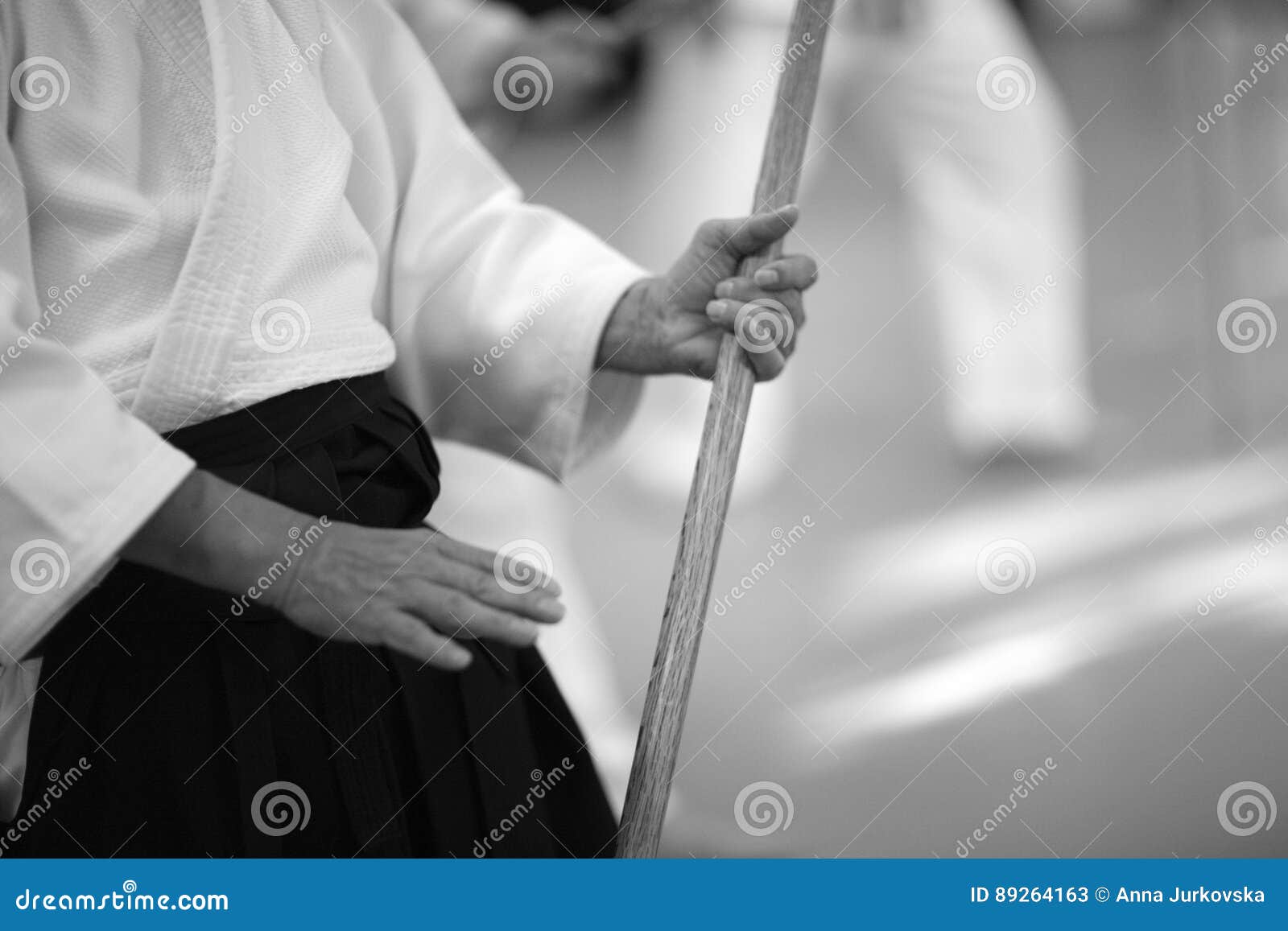 Aikido stock image. Image of body, hands, judo, military - 89264163