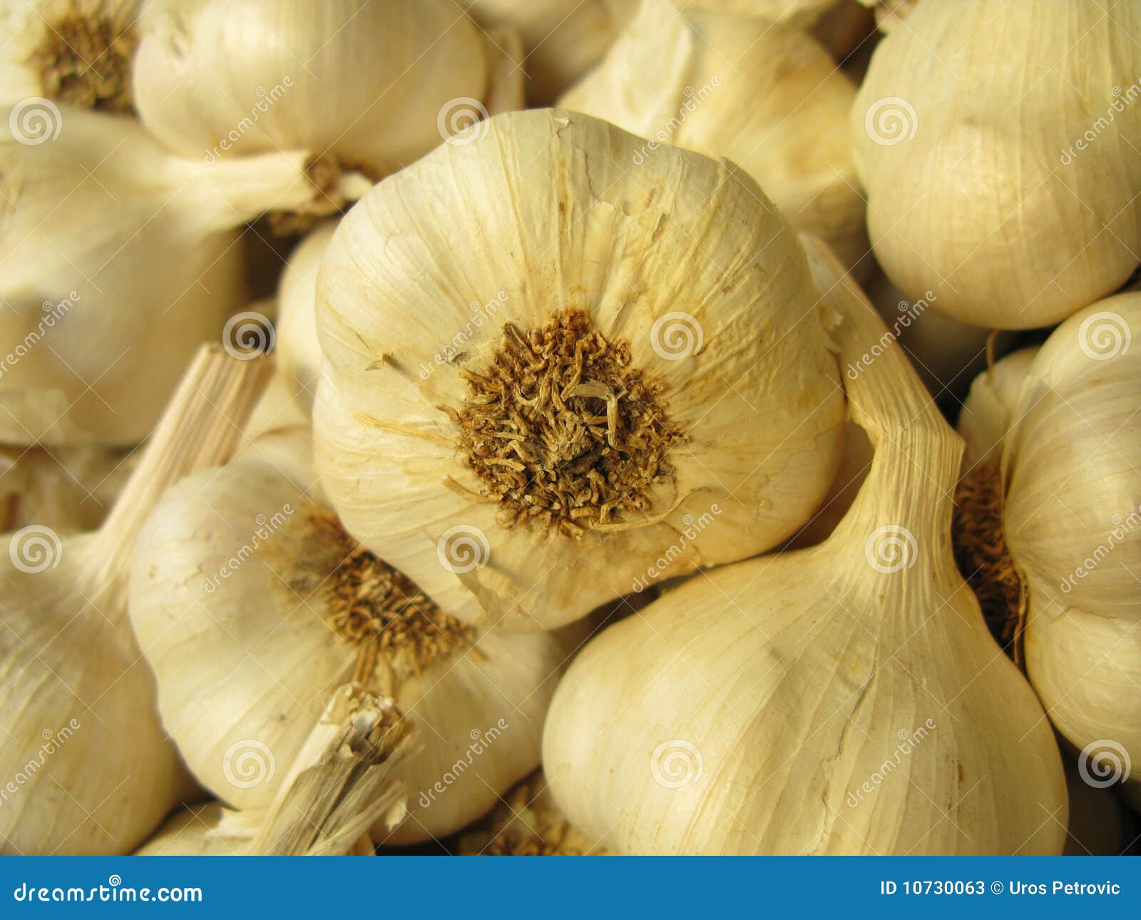 Ail image stock. Image du frais, photographie, image - 10730063