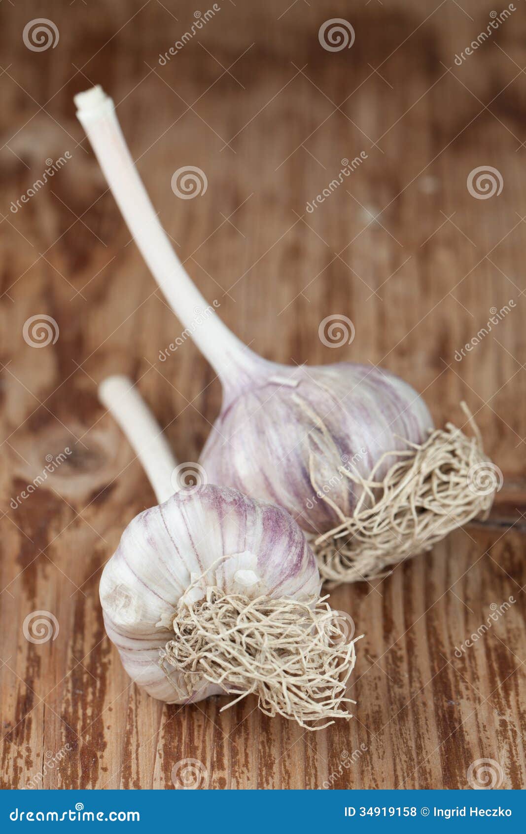 Ail photo stock. Image du tête, légume, peau, nourriture - 34919158