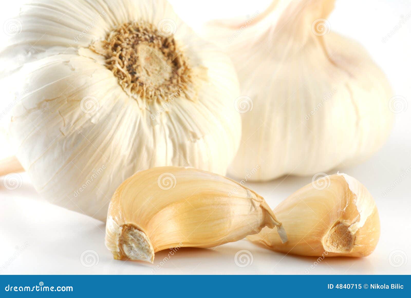 Ail image stock. Image du herbe, clove, frais, salubrité - 4840715